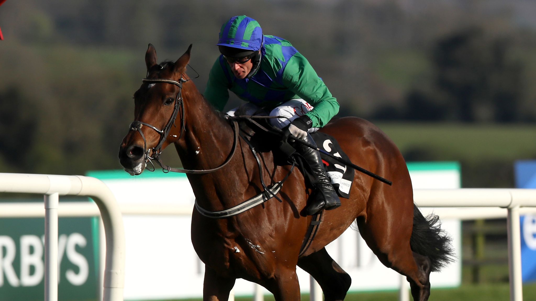 Willie Mullins' Kilcruit beaten at 1/14 on hurdling debut at Cork by ...