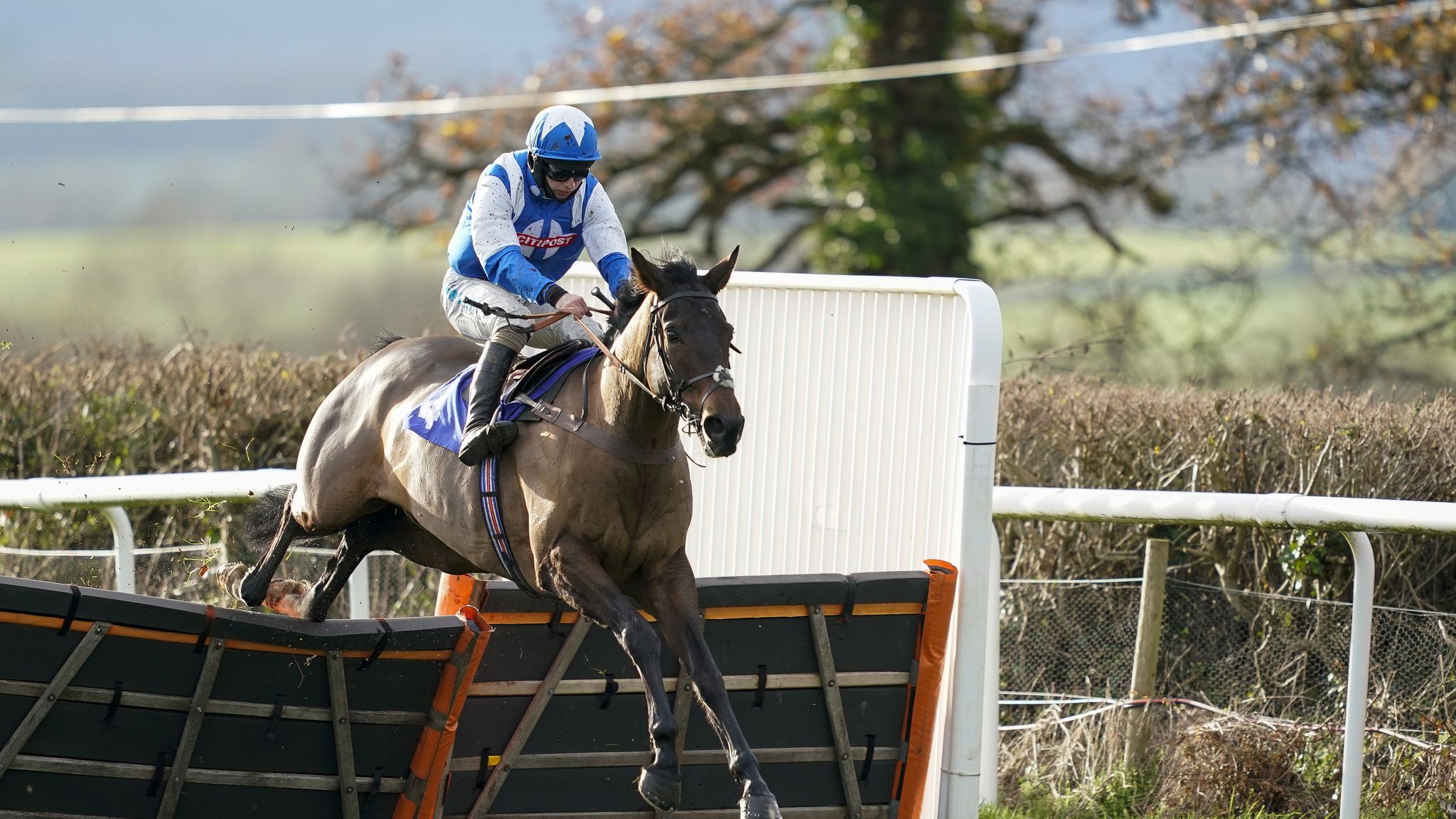 Race of the Day: Frero Banbou to give Venetia Williams much-needed ...