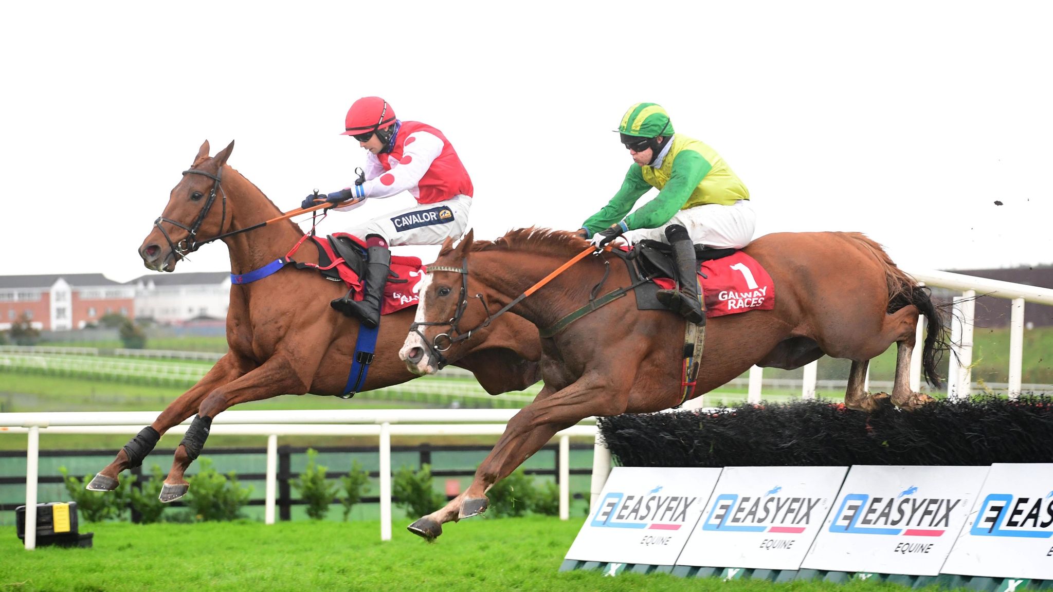 Supreme Novices' Hurdle: Lorna Fowler has Cheltenham ambitions for ...