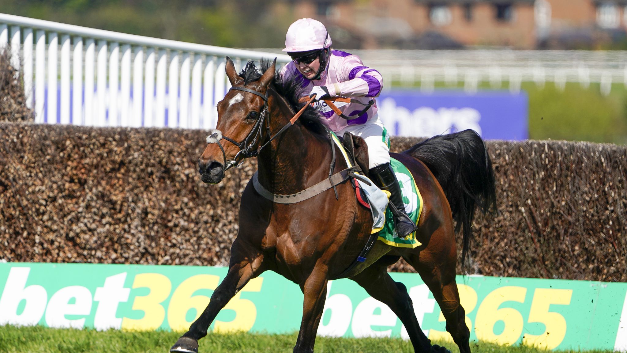 Tingle Creek: Runner-by-runner guide as Irish raiders Chacun Pour Soi ...