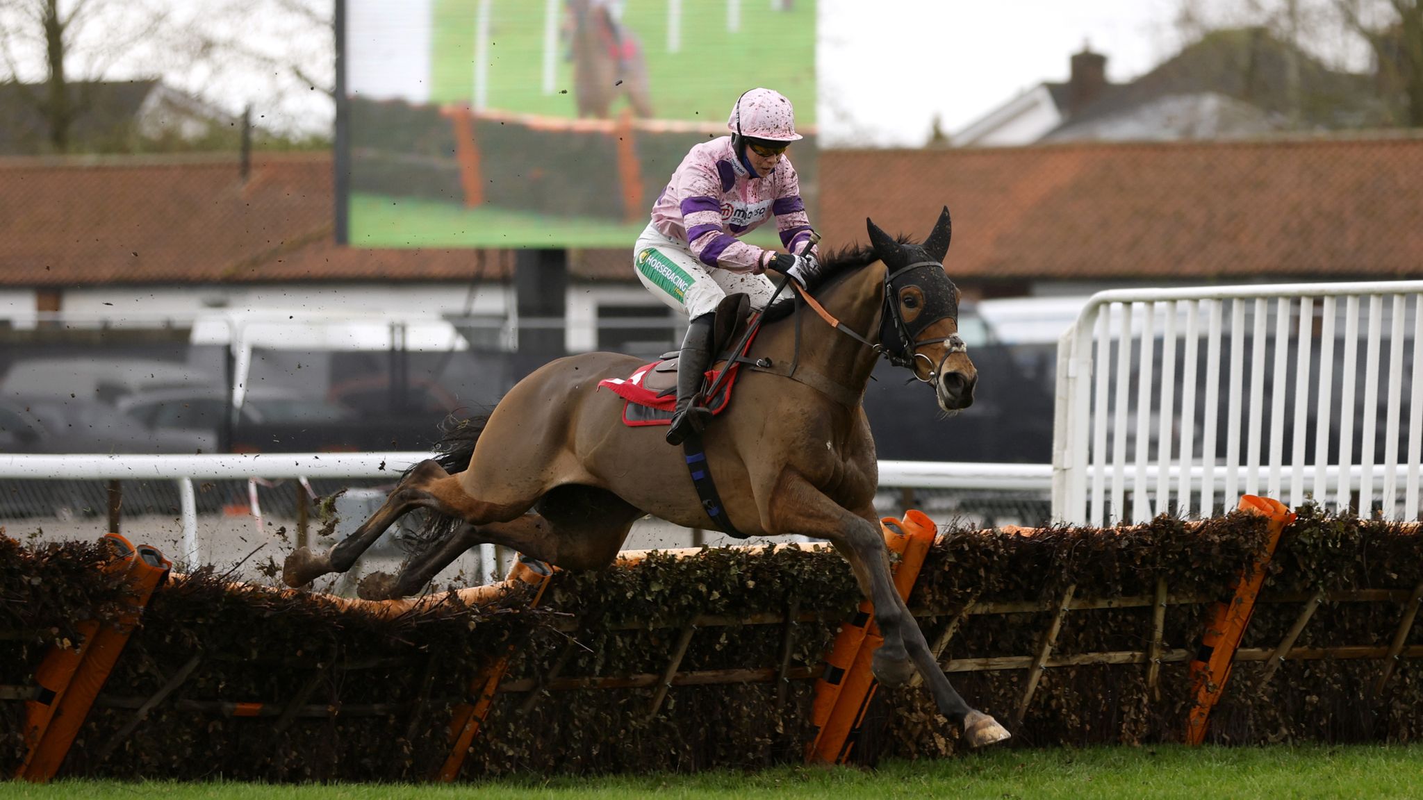 Iceo pleases Paul Nicholls with runaway Kempton success but not certain ...