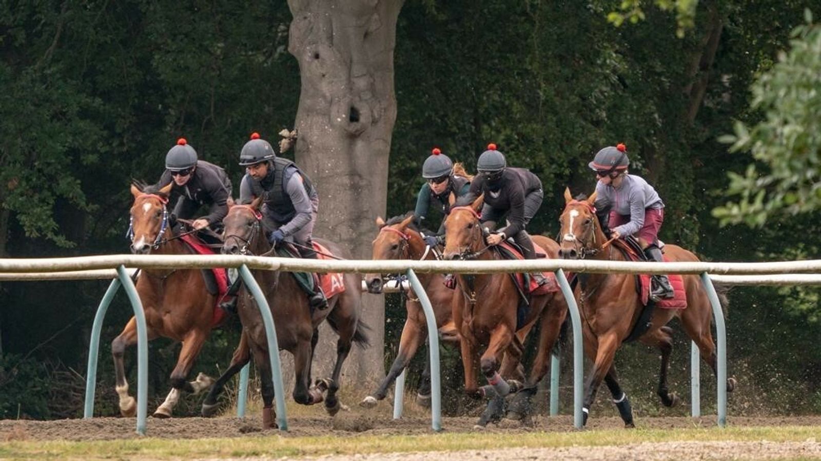 Alice Haynes: Rising trainer set to go globetrotting with Pontefract ...