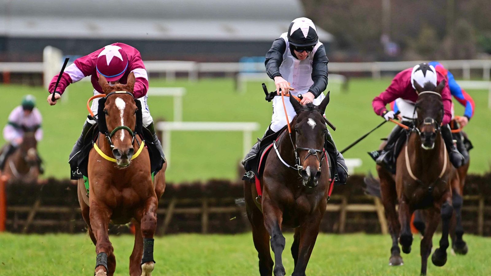 Cheltenham Festival: Gerri Colombe books place for Albert Bartlett with ...