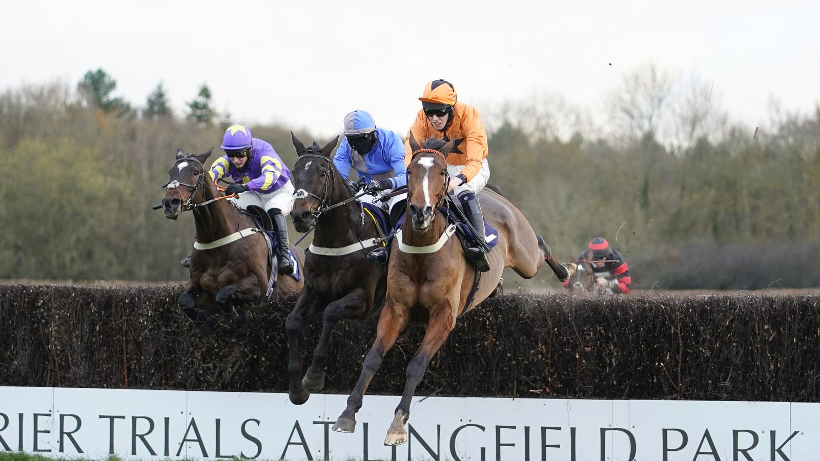 Lingfield Winter Million: Your essential guide to the inaugural three ...