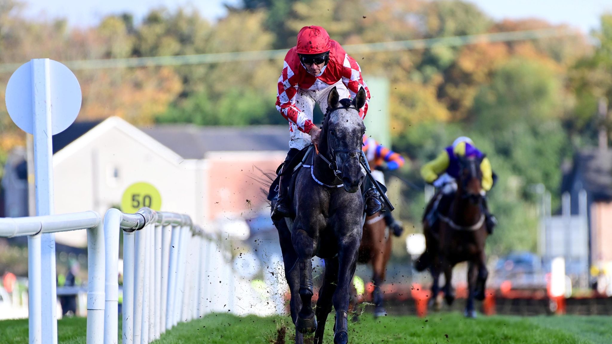Gordon Elliott stable tour: Dublin Racing Festival contenders including ...
