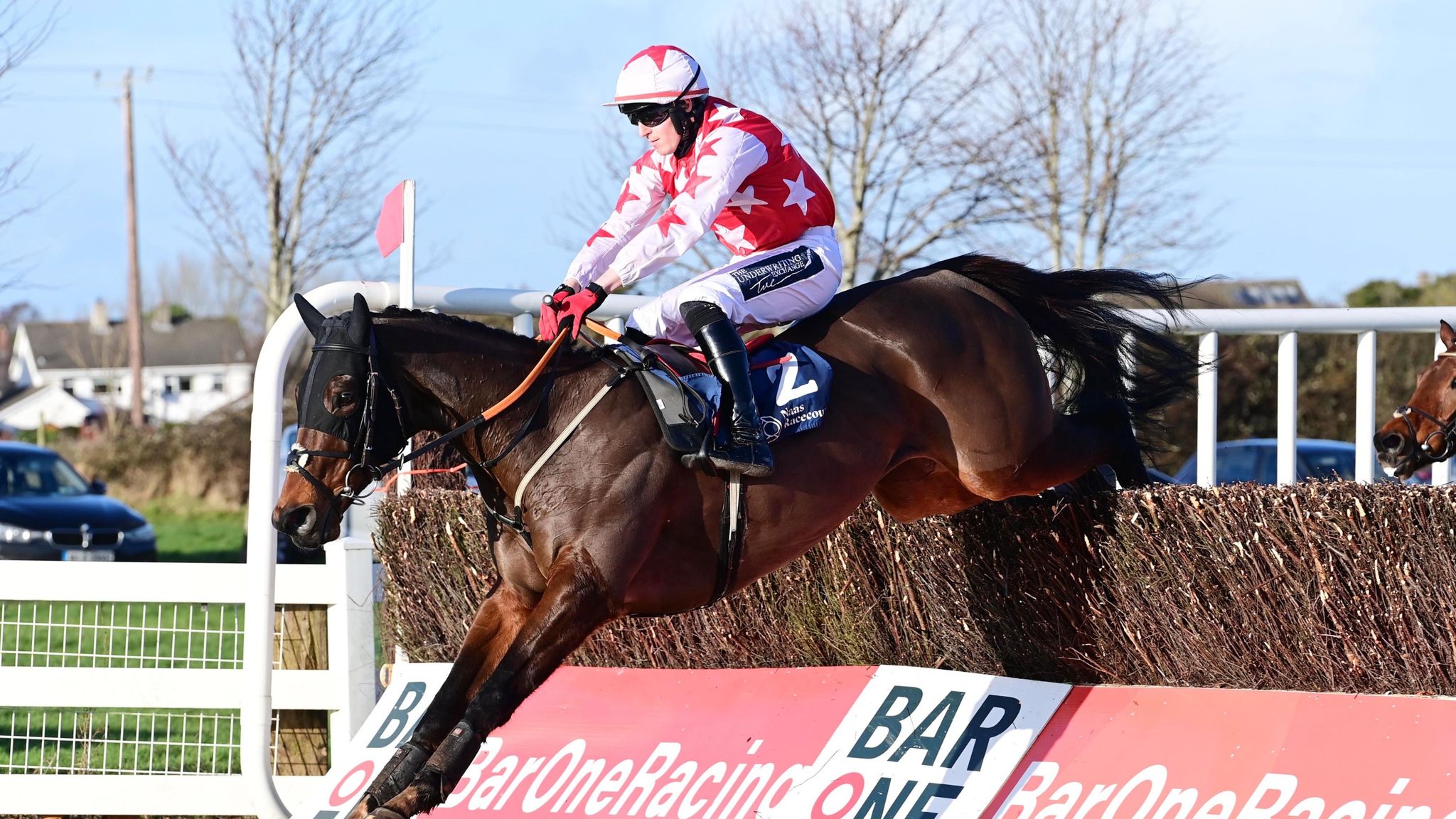 Cheltenham Festival: Blue Lord cut to 8/1 for Sporting Life Arkle after ...