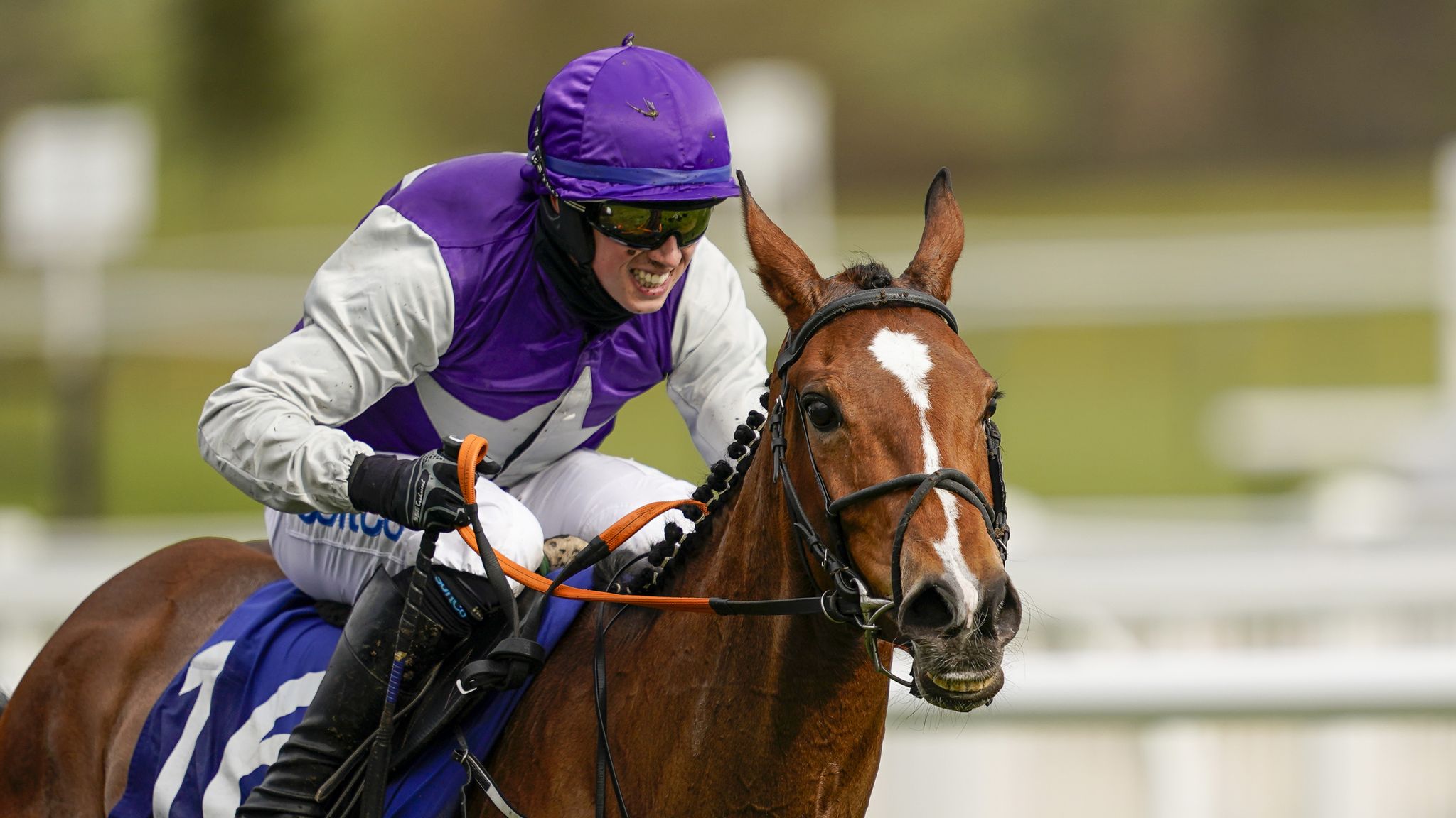 Cheltenham Festival: Five beaten horses to consider ahead of the ... Cheltenham Festival: Five beaten horses to consider ahead of the ...