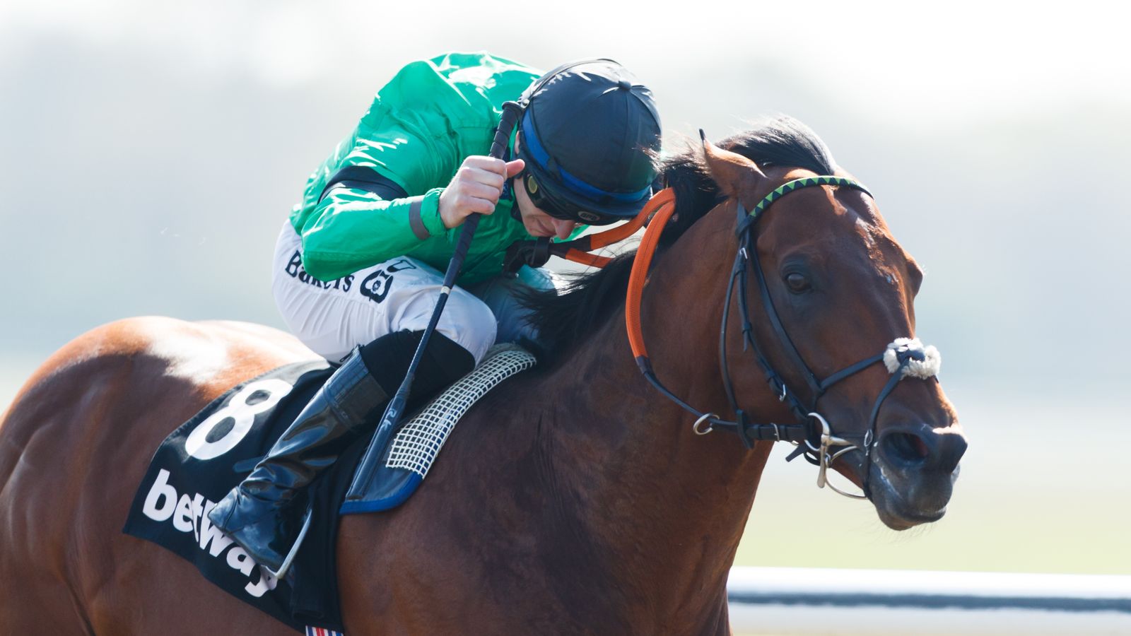Kachy Stakes an honour says Lowe | Racing News | Sky Sports