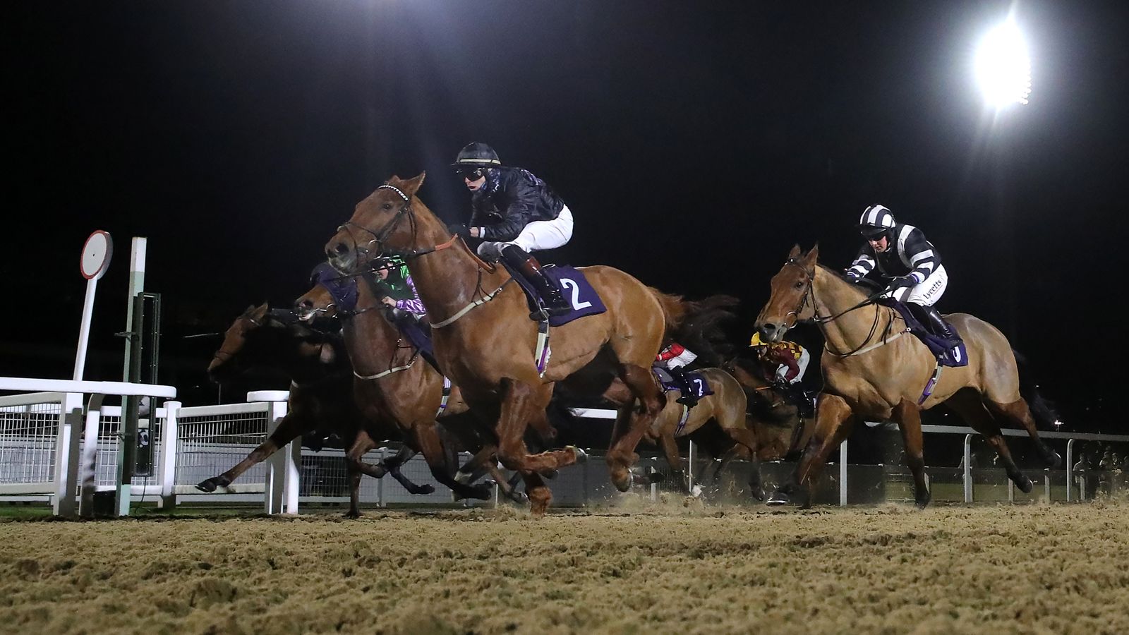 Today on Sky Sports Racing: Busy All-Weather Newcastle card in focus on ...