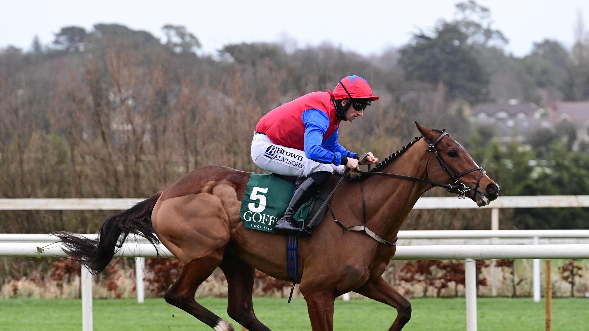 Alex Hammond blog: Cheltenham Festival day two tips with Nicky ...