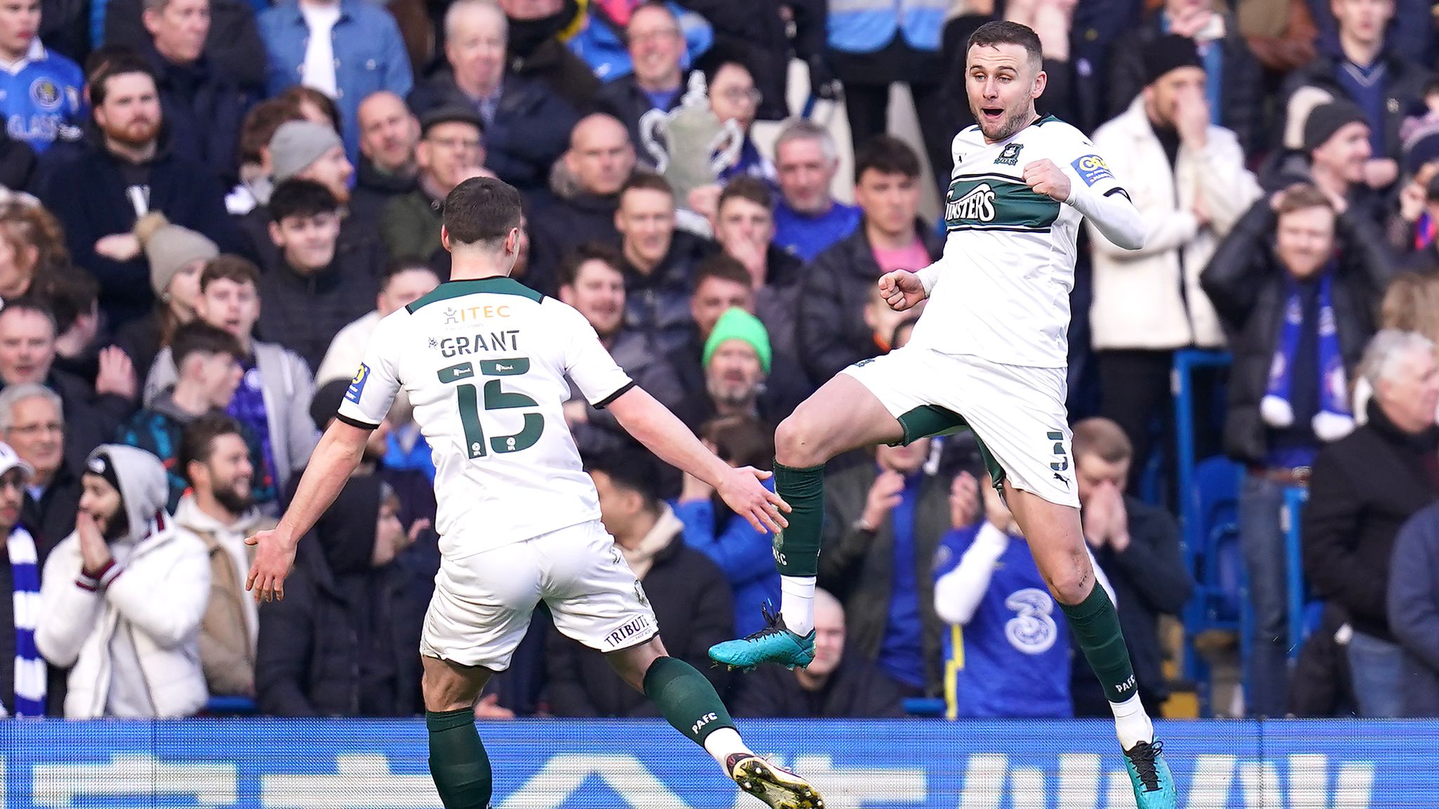 Plymouth Argyle: Steven Schumacher flourishing in first managerial role ...