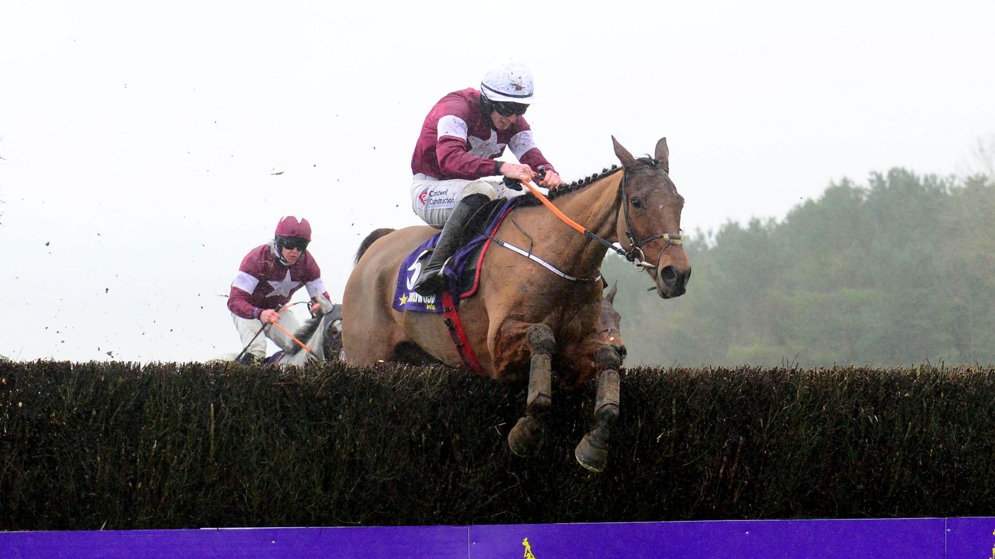 Cheltenham Festival: Jamie Codd gives his selections for day one ...