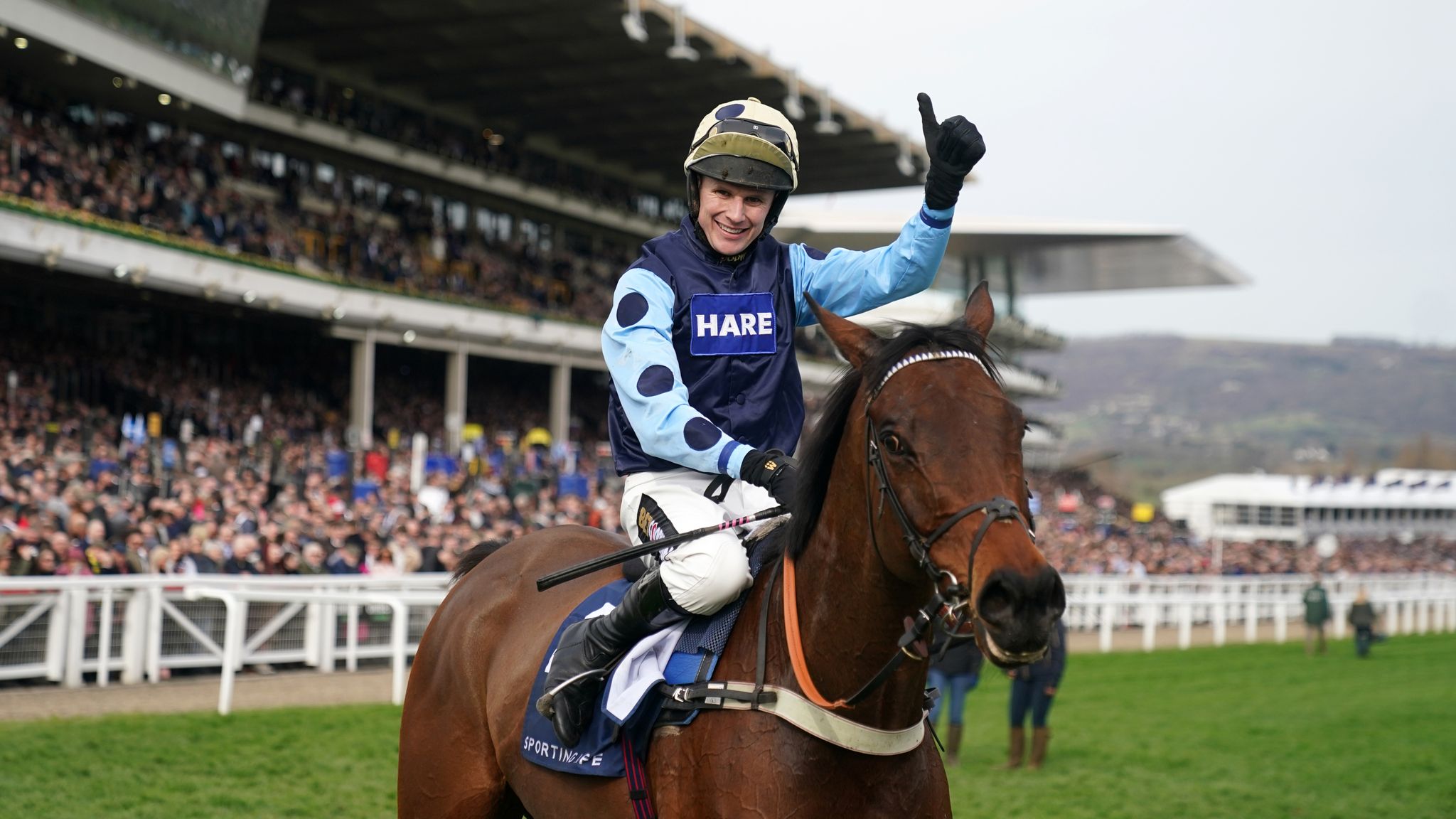 Cheltenham Festival: Aintree run in the offing for Arkle hero ...