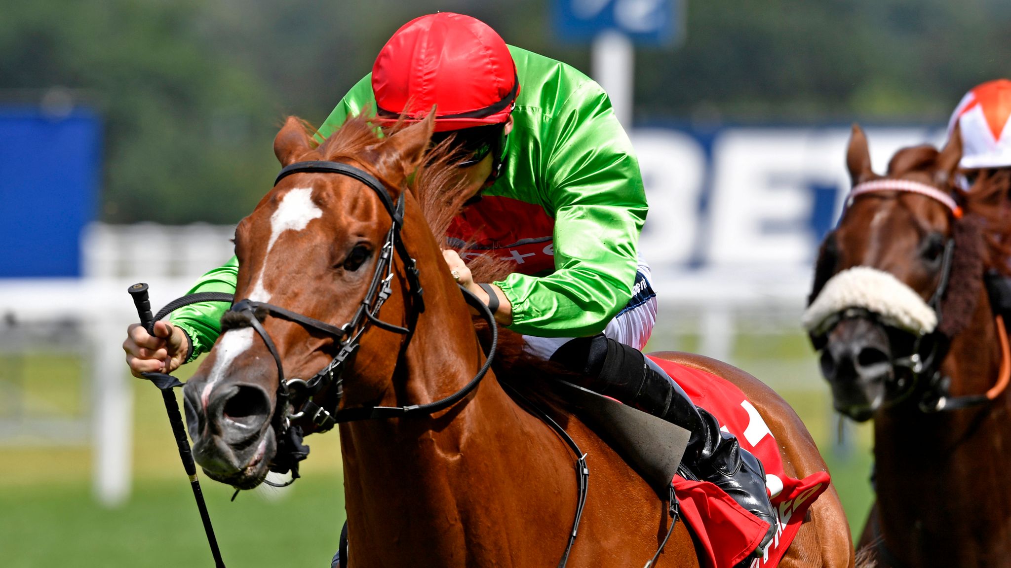 Spring Cup Stakes: El Caballo books All-Weather Finals Day spot with ...