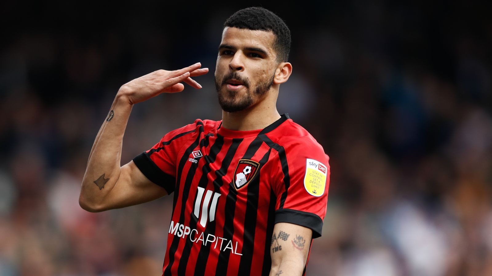 Blackburn Rovers 0-3 Bournemouth: Dominic Solanke on target as hosts ...