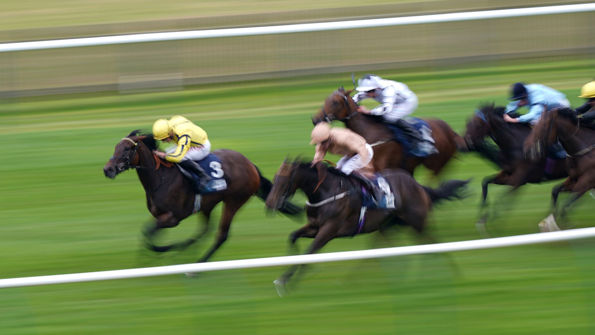 All-Weather Finals Day: William Haggas hoping My Oberon puts up winning ...