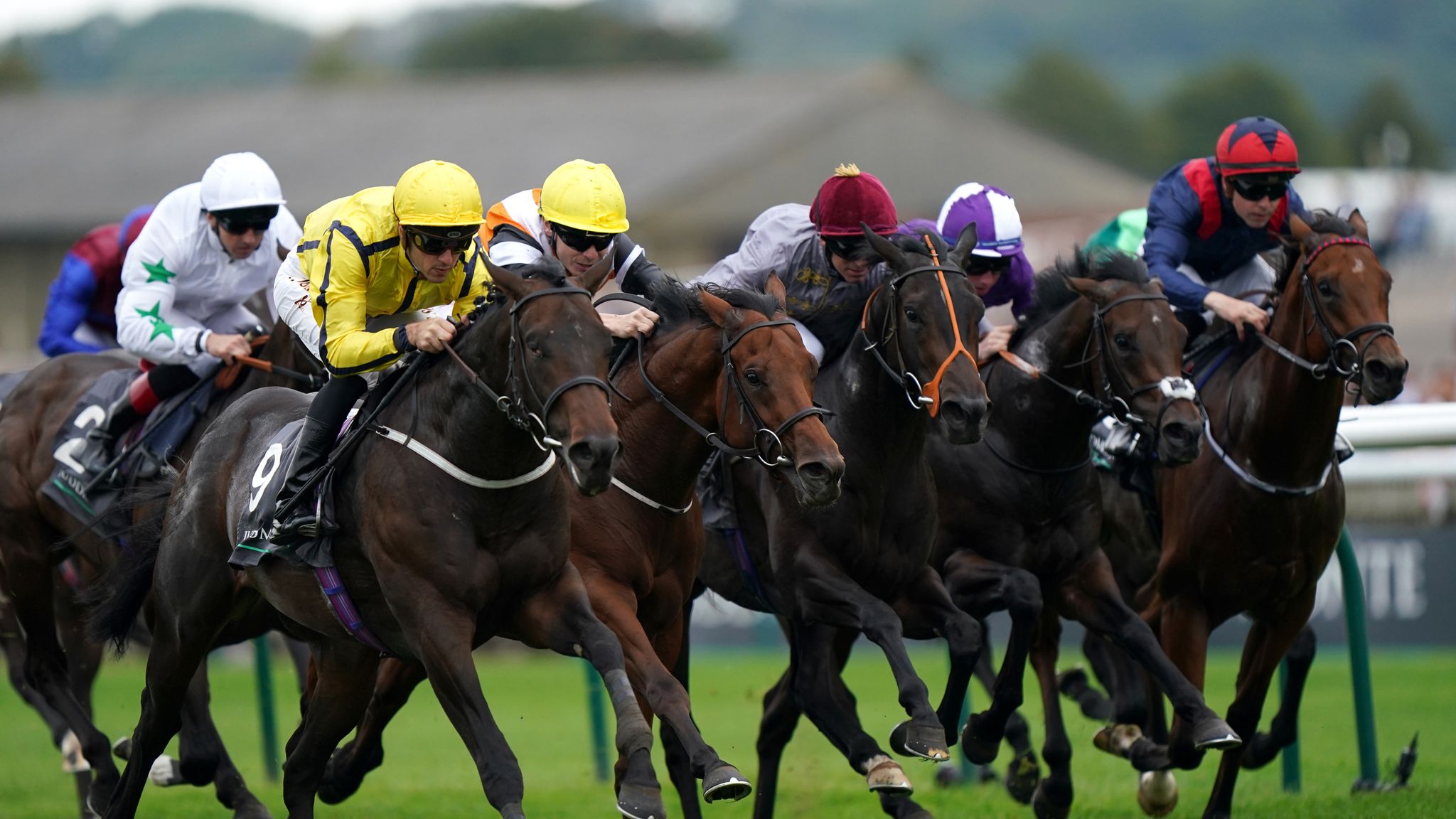 Royal Ascot: Perfect Power expected to be back to best in Commonwealth ...