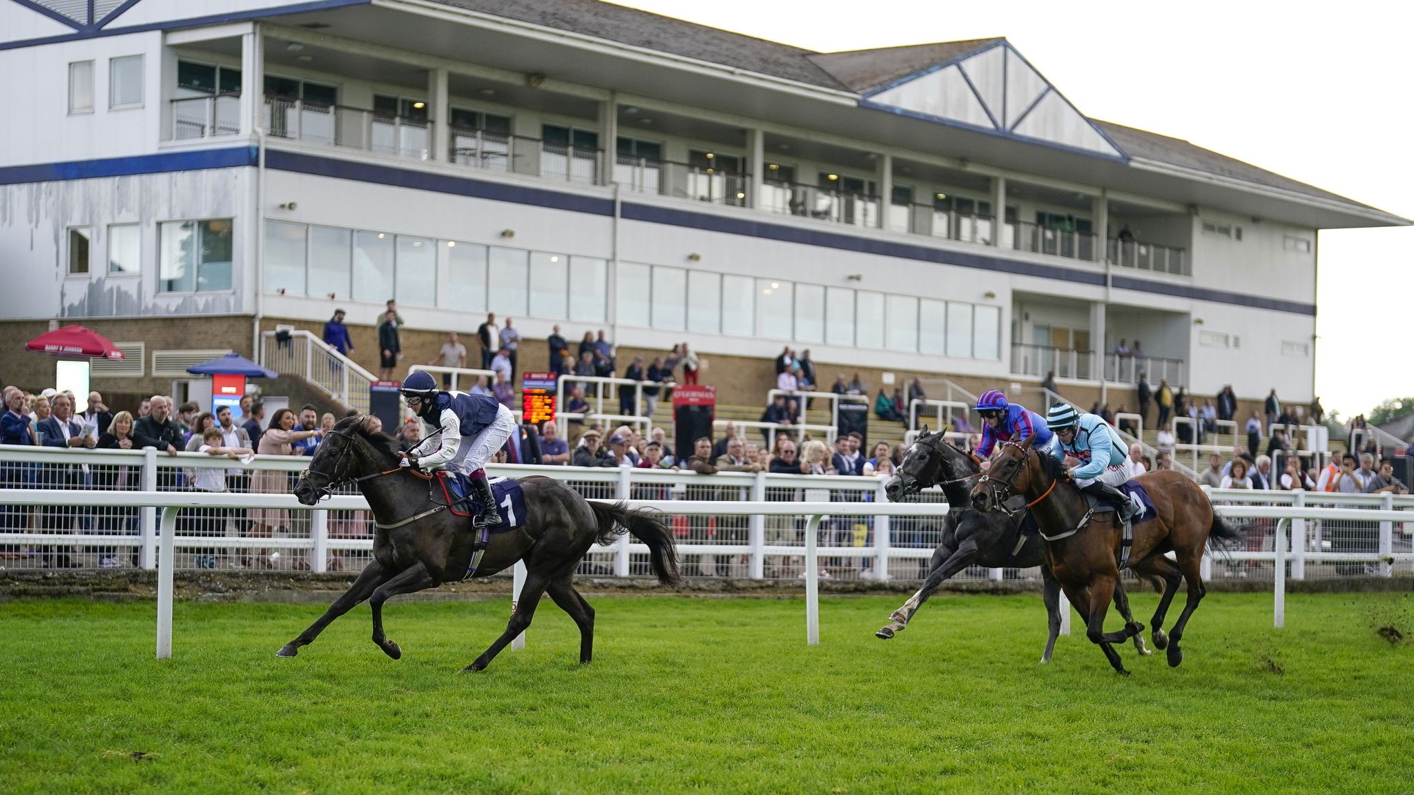 Monday Tips: Five horses from Newton Abbot and Windsor including a 9/1 ...