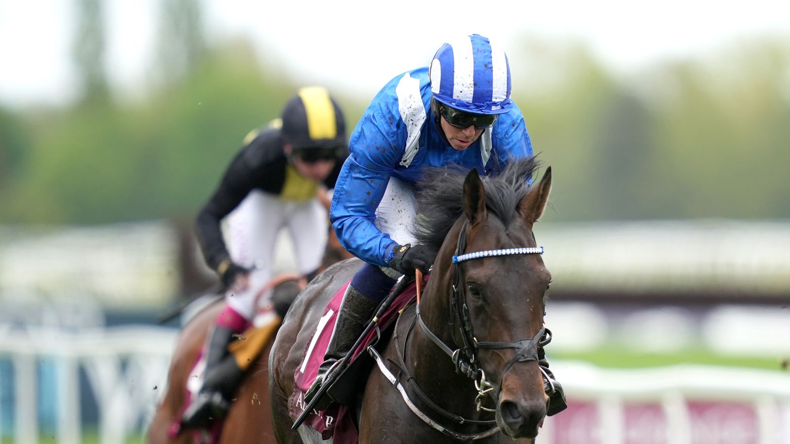 Maureen Haggas: Al Aasy has stacks of ability | Racing News | Sky Sports