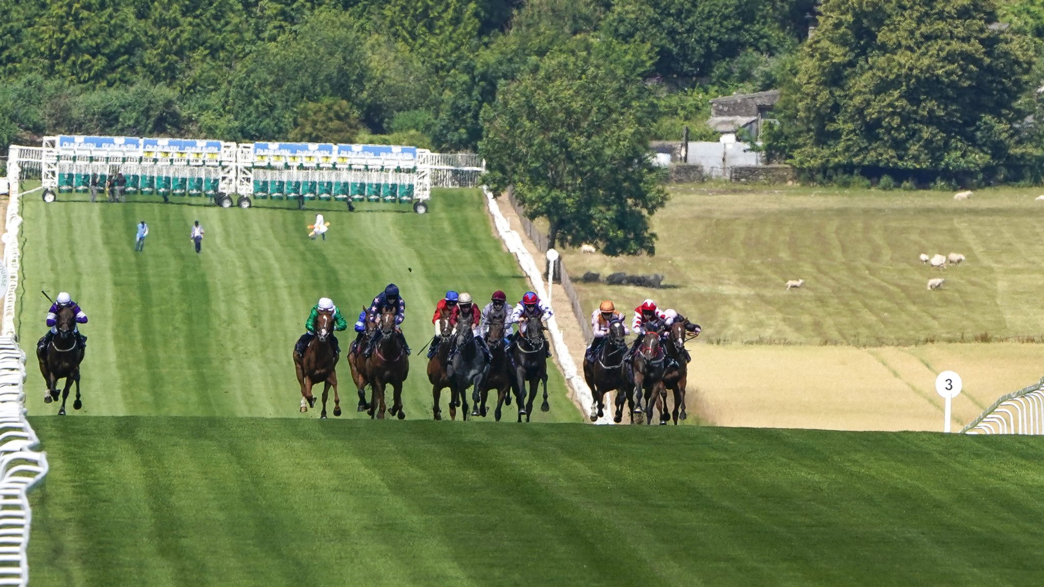 Today on Sky Sports Racing: Chepstow & Brighton in focus on Wednesday ...