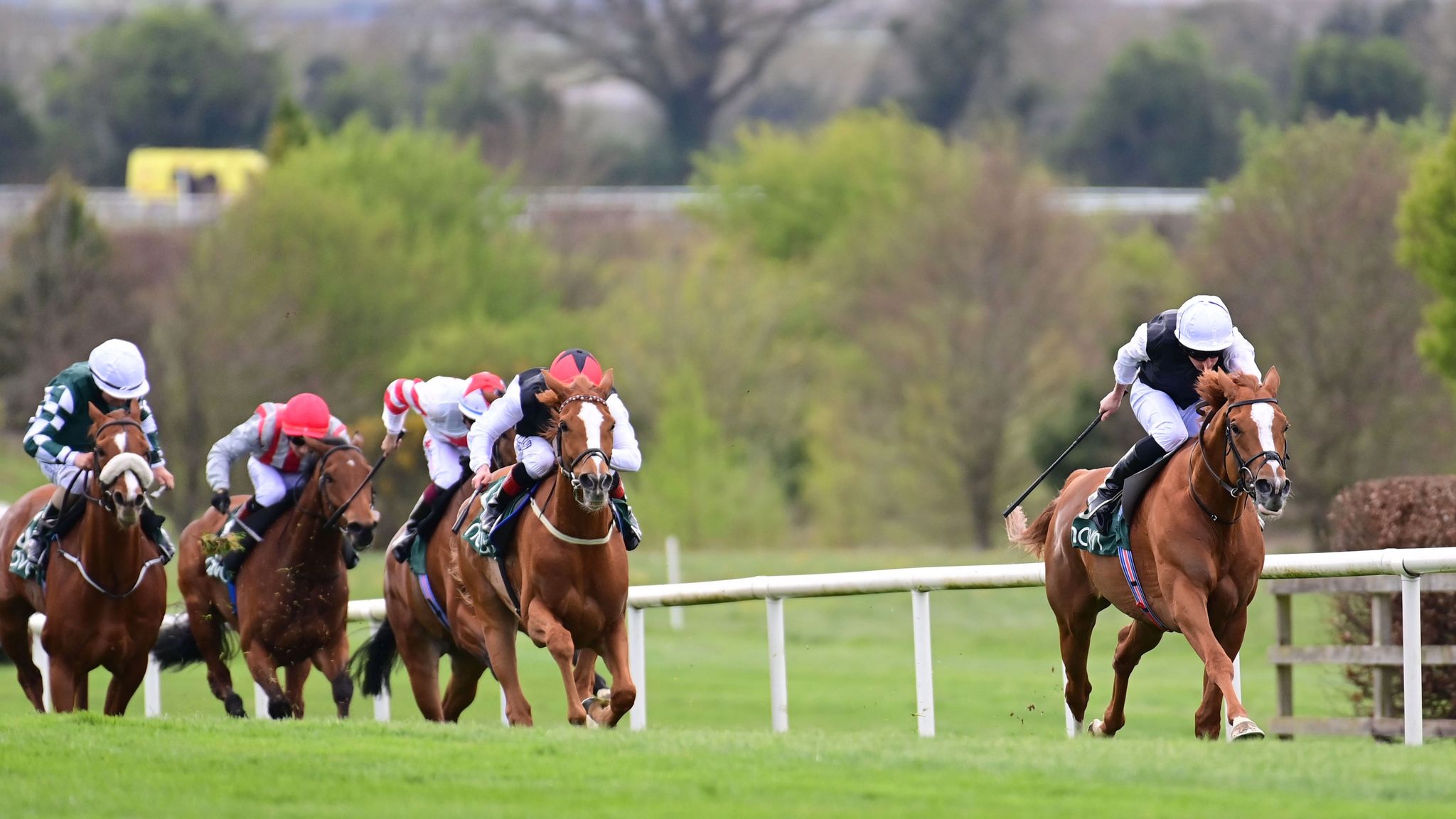 Royal Ascot: Aidan O'Brien stable tour as Kyprios heads for Gold Cup ...