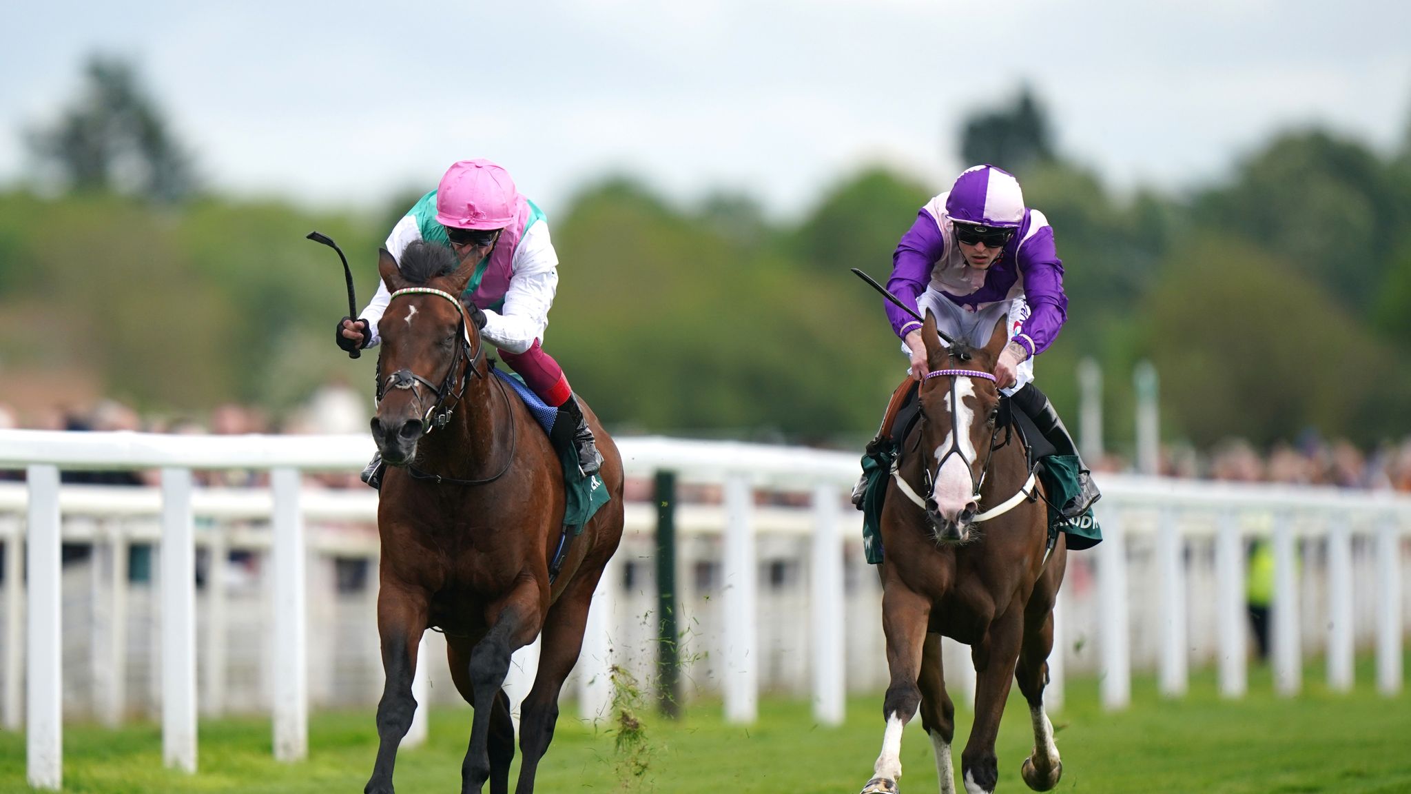 York Dante Festival: William Haggas on the mark again as Gaassee takes ...