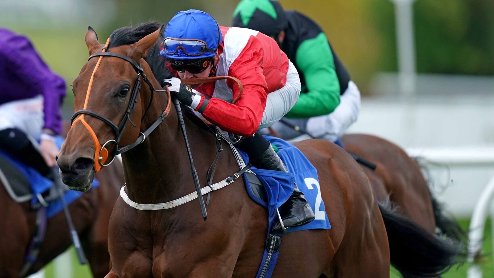 Sunday Tips | Racing News | Sky Sports