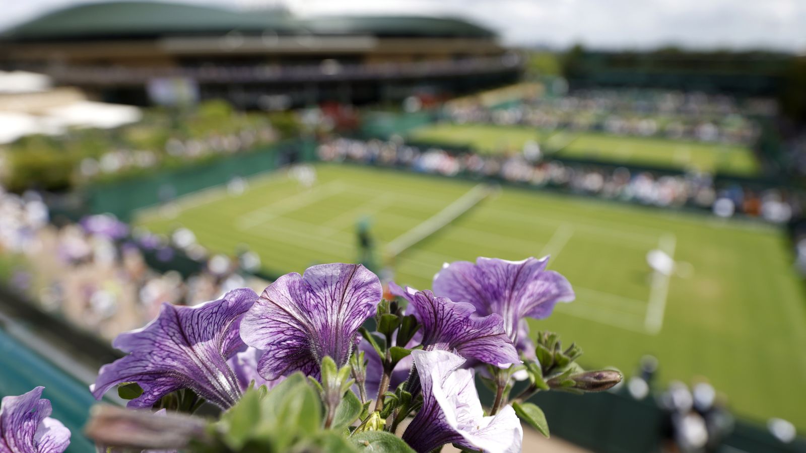 Wimbledon: Latest scores and schedule | Tennis News | Sky Sports