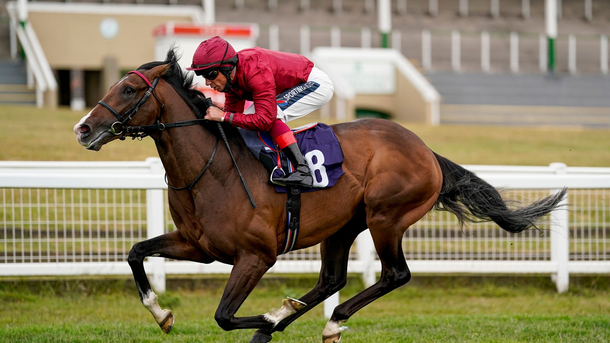 Today on Sky Sports Racing: John and Thady Gosden hoping Magical ...