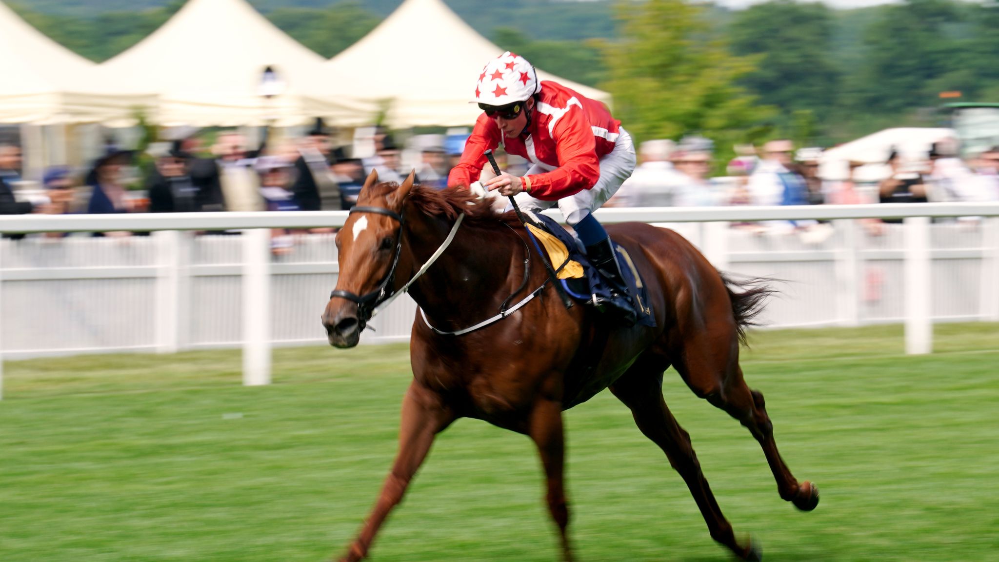 Breeders' Cup: Saffron Beach booked in for Keeneland trip after ...