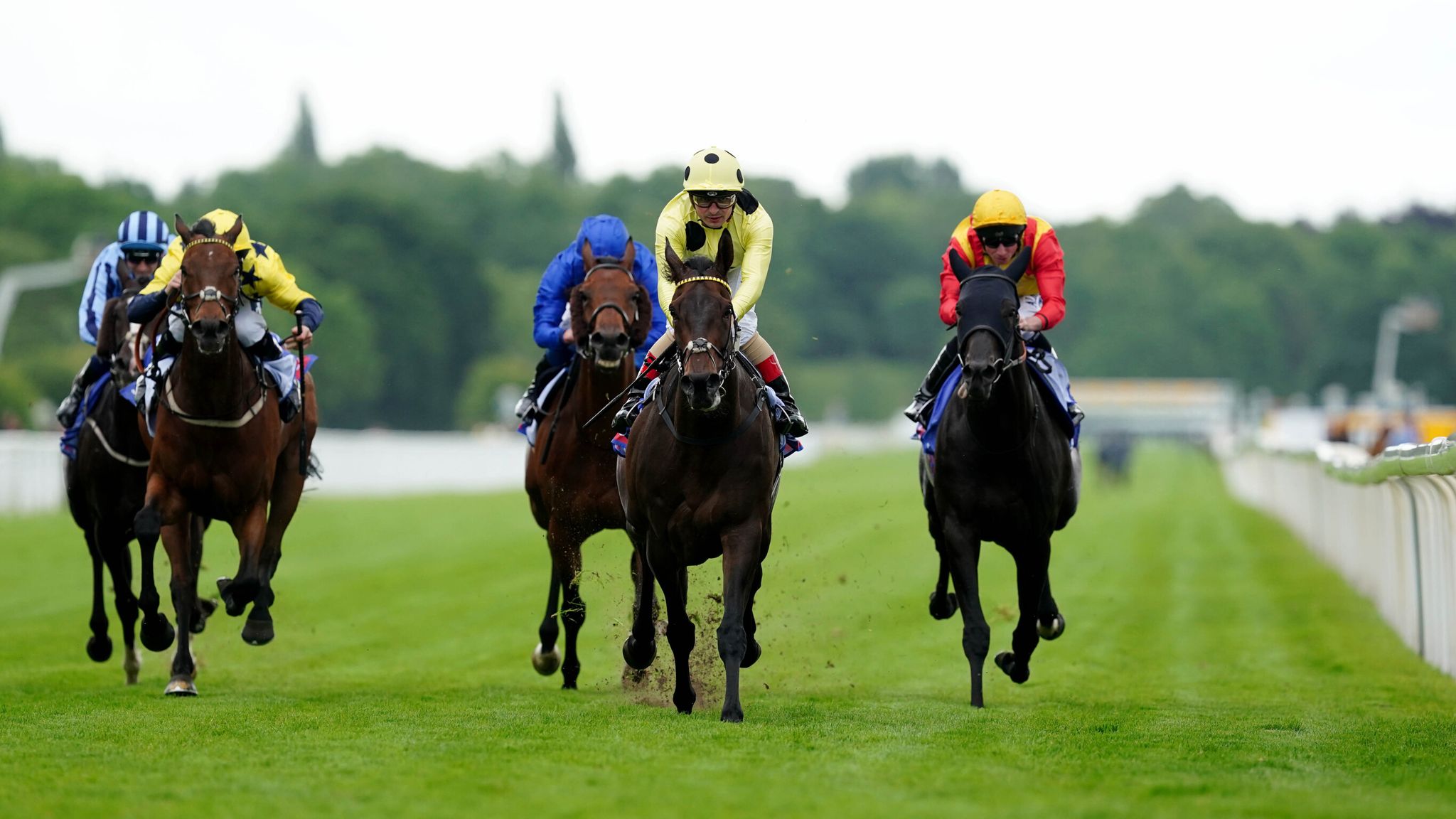 Grand Cup Stakes: Without A Fight comes out on top at York in Race To ...