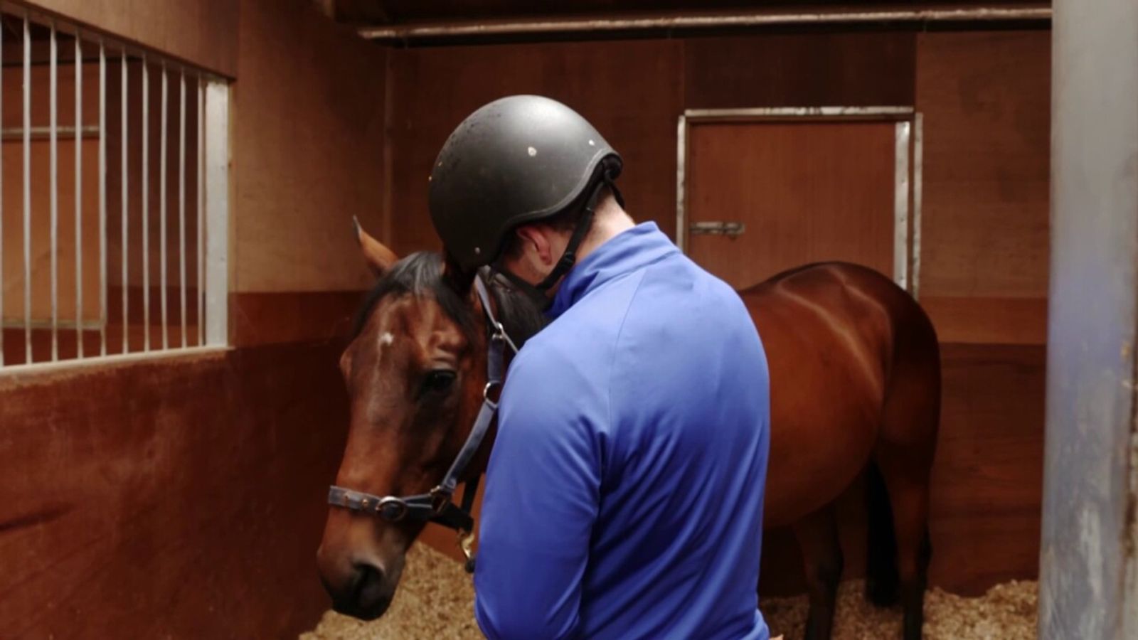 Horses Of Hope: Castlerea Prison Equine Centre using former race stars ...