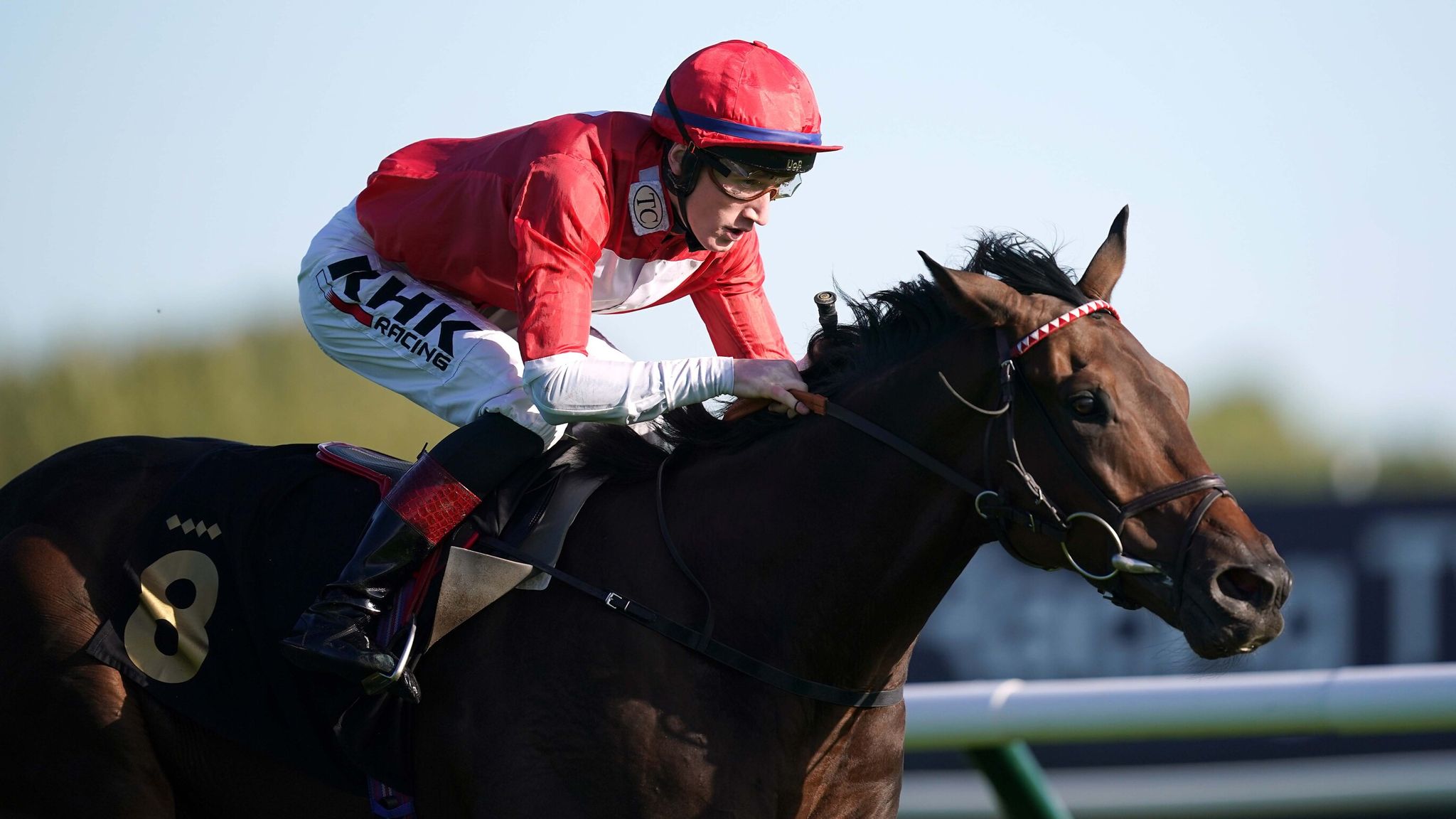 John Smith's Cup: Tom Clover's Rogue Bear set for Knavesmire handicap ...
