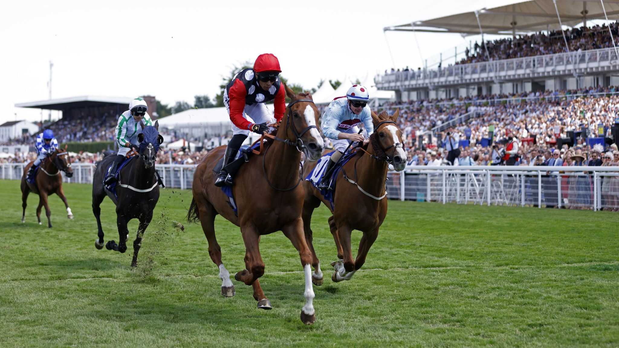 Milton Harris backs new juvenile squad led by Postmark and Super ...