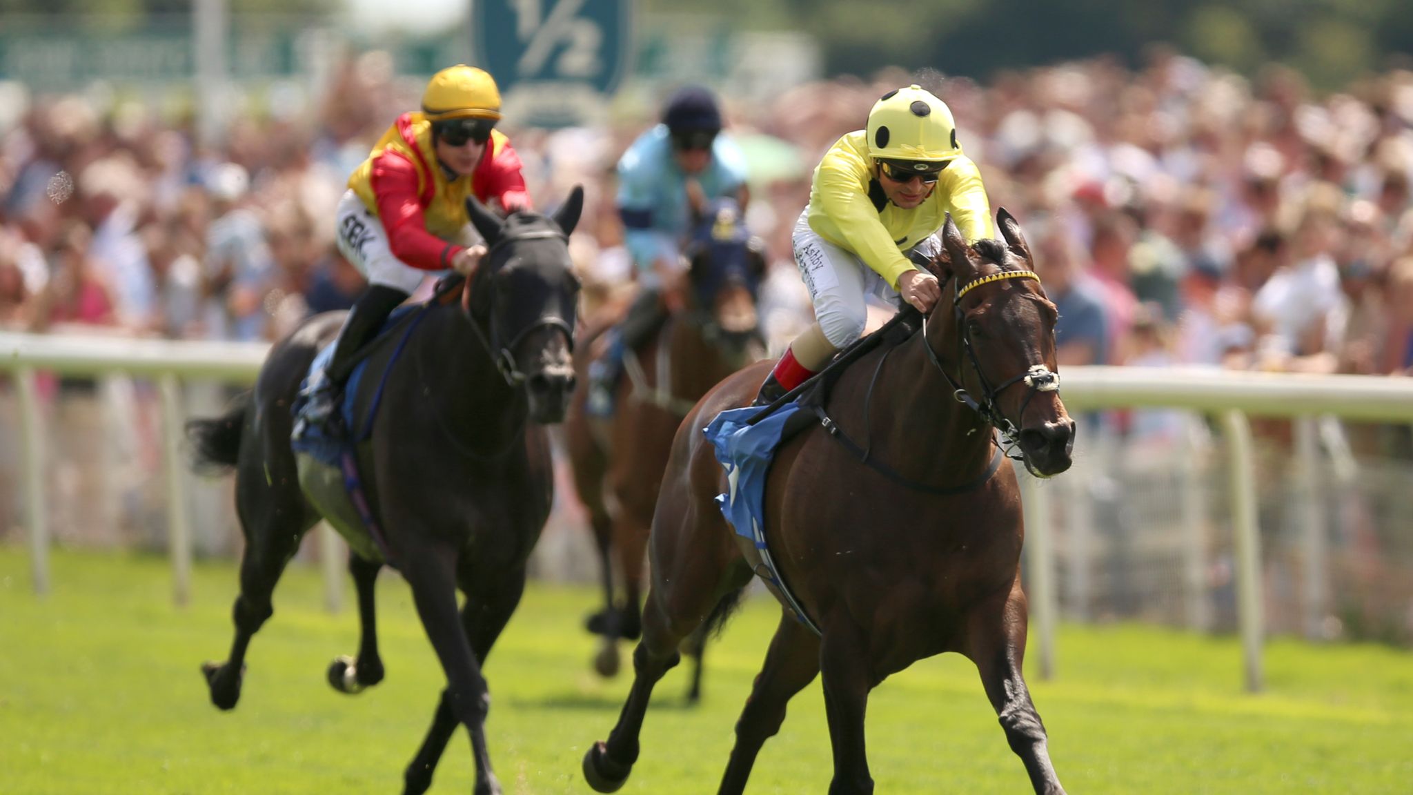 John Smith's Silver Cup: Without A Fight lands knockout blow at York to ...