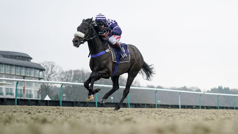 Live Horse Racing Results, Racecards, News, Tips | Sky Sports