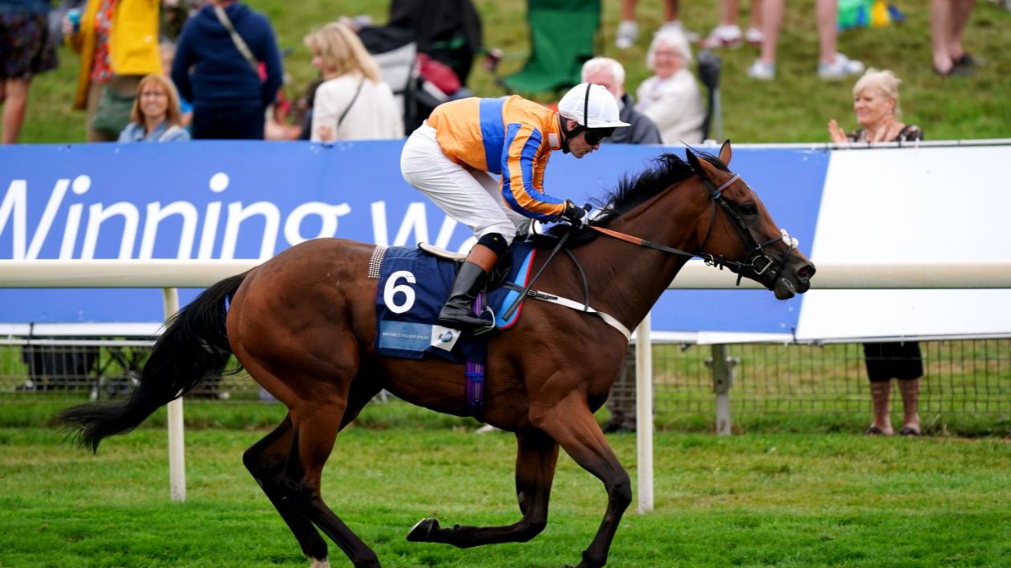 St Leger Festival: Adaay In Asia looking for five-timer in Sceptre ...