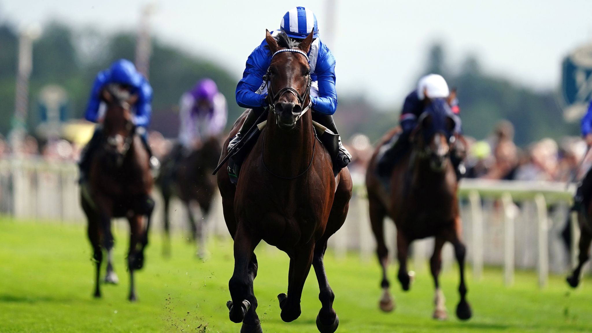 Juddmonte International: Baaeed makes it a perfect 10 races unbeaten ...
