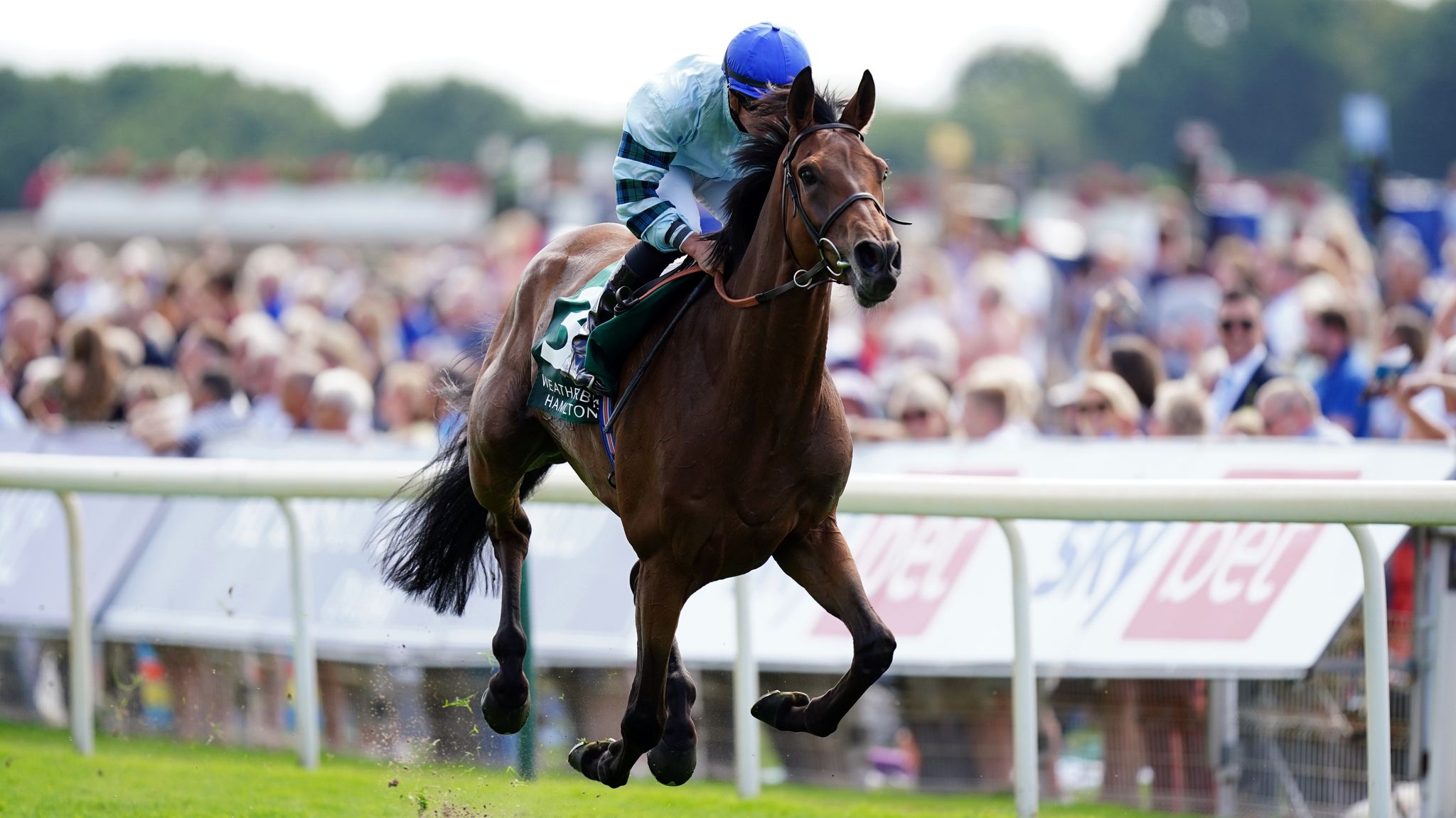 Weatherbys Hamilton Lonsdale Cup: Quickthorn and Tom Marquand dominant ...