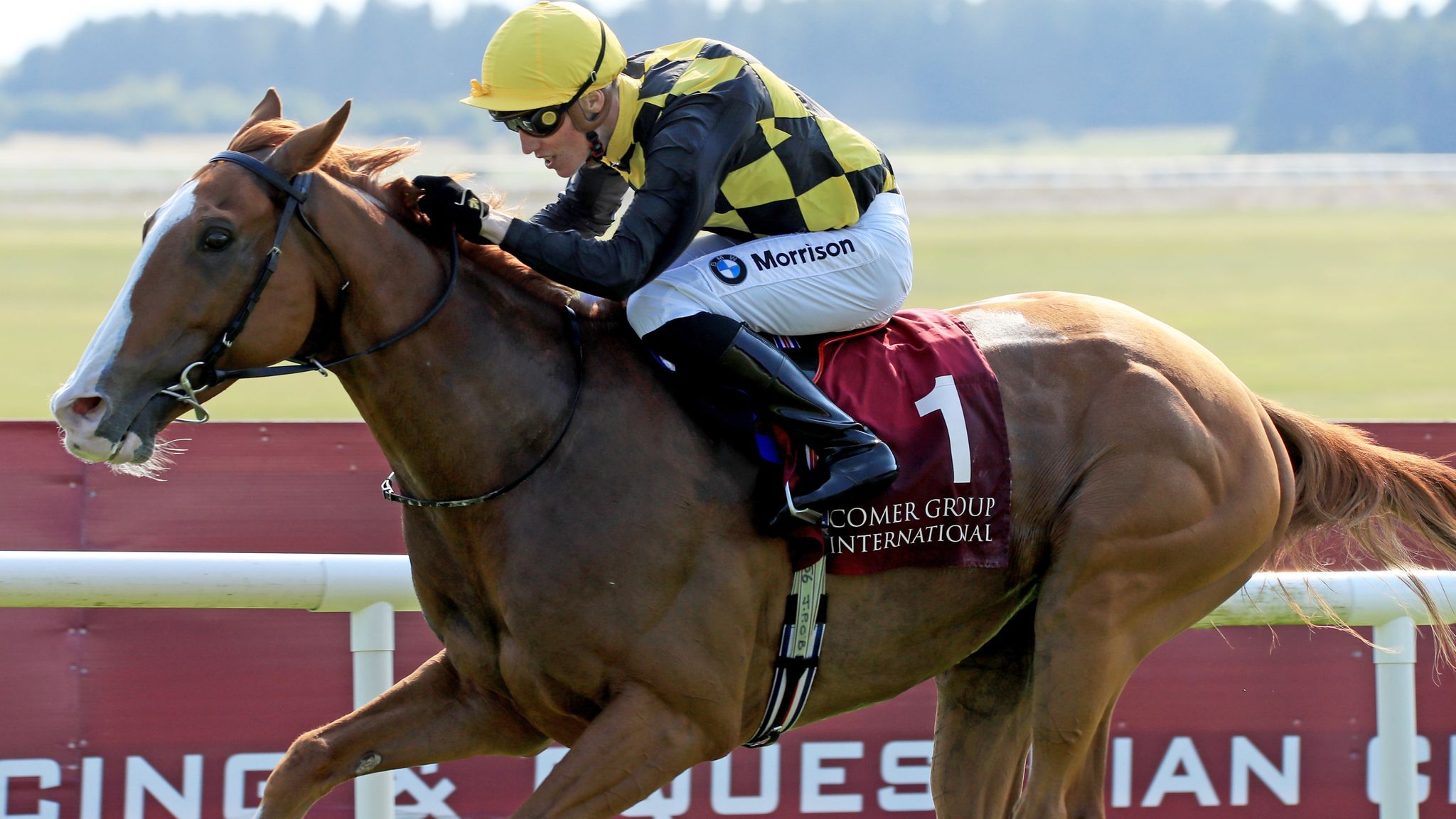 Irish St Leger: Joseph O'Brien's Raise You in line to face Kyprios and ...