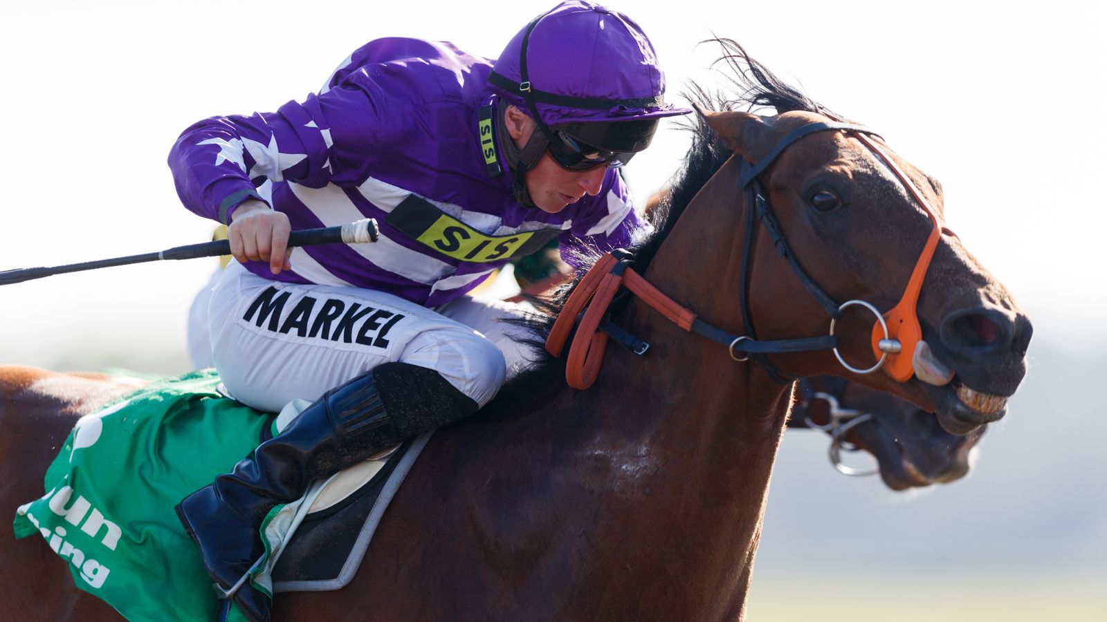 Richard Hannon: He's our little genius! | Racing News | Sky Sports