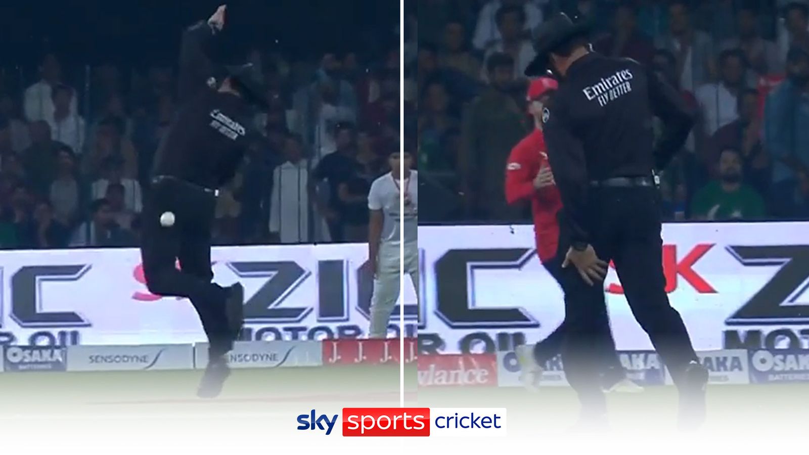 'He wasn't expecting the ball to come to him! | Umpire takes painful ...