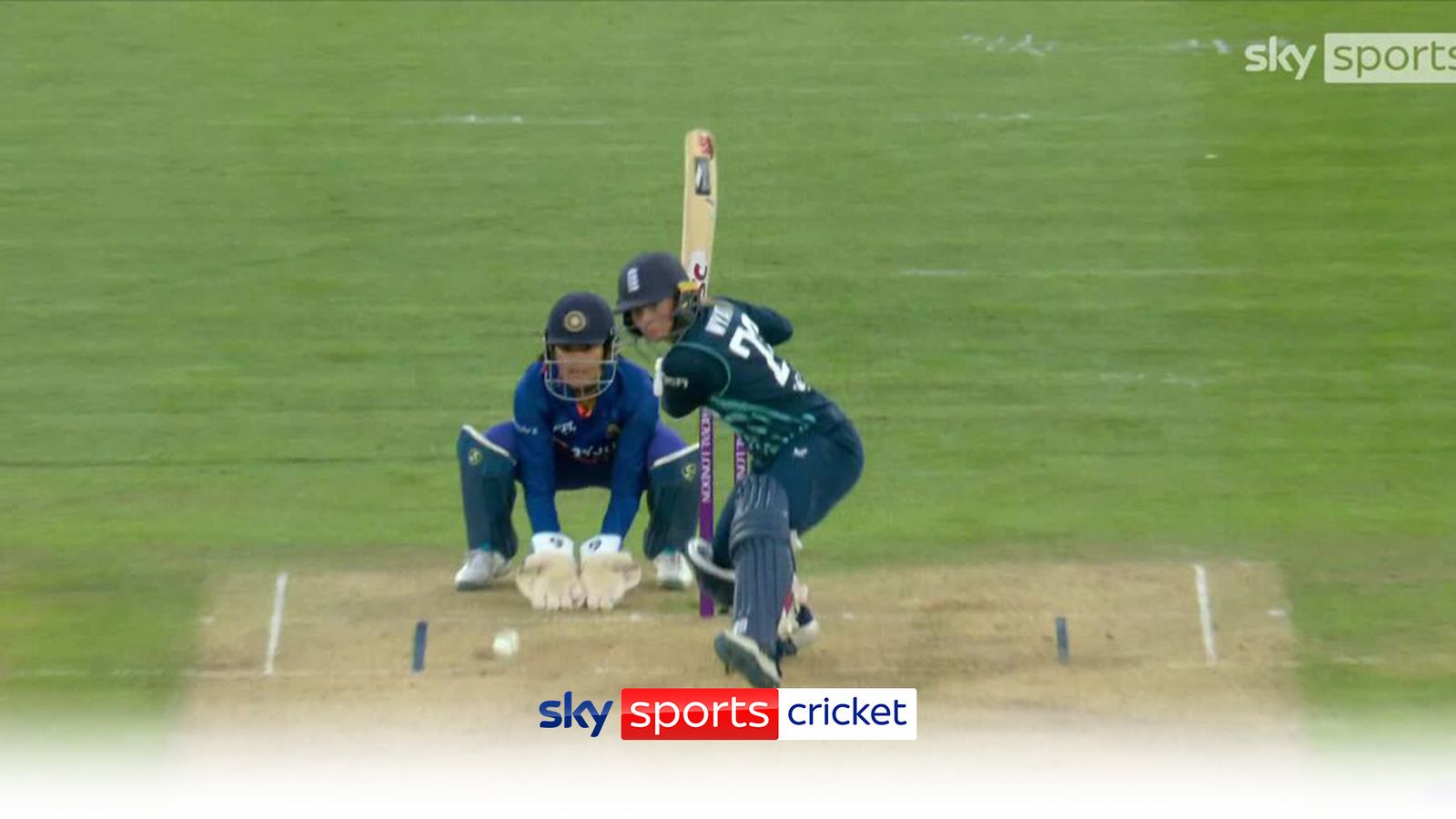 Danni Wyatt reaches half-century | Cricket News | Sky Sports