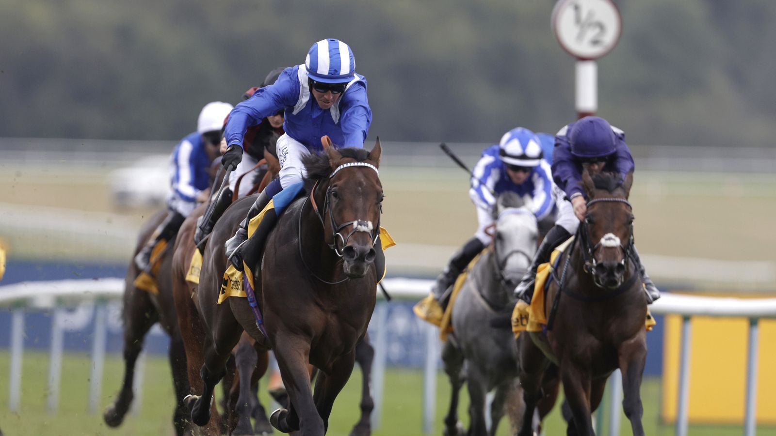 Minzaal retired: Owen Burrows' Sprint Cup hero Minzaal sustained season ...