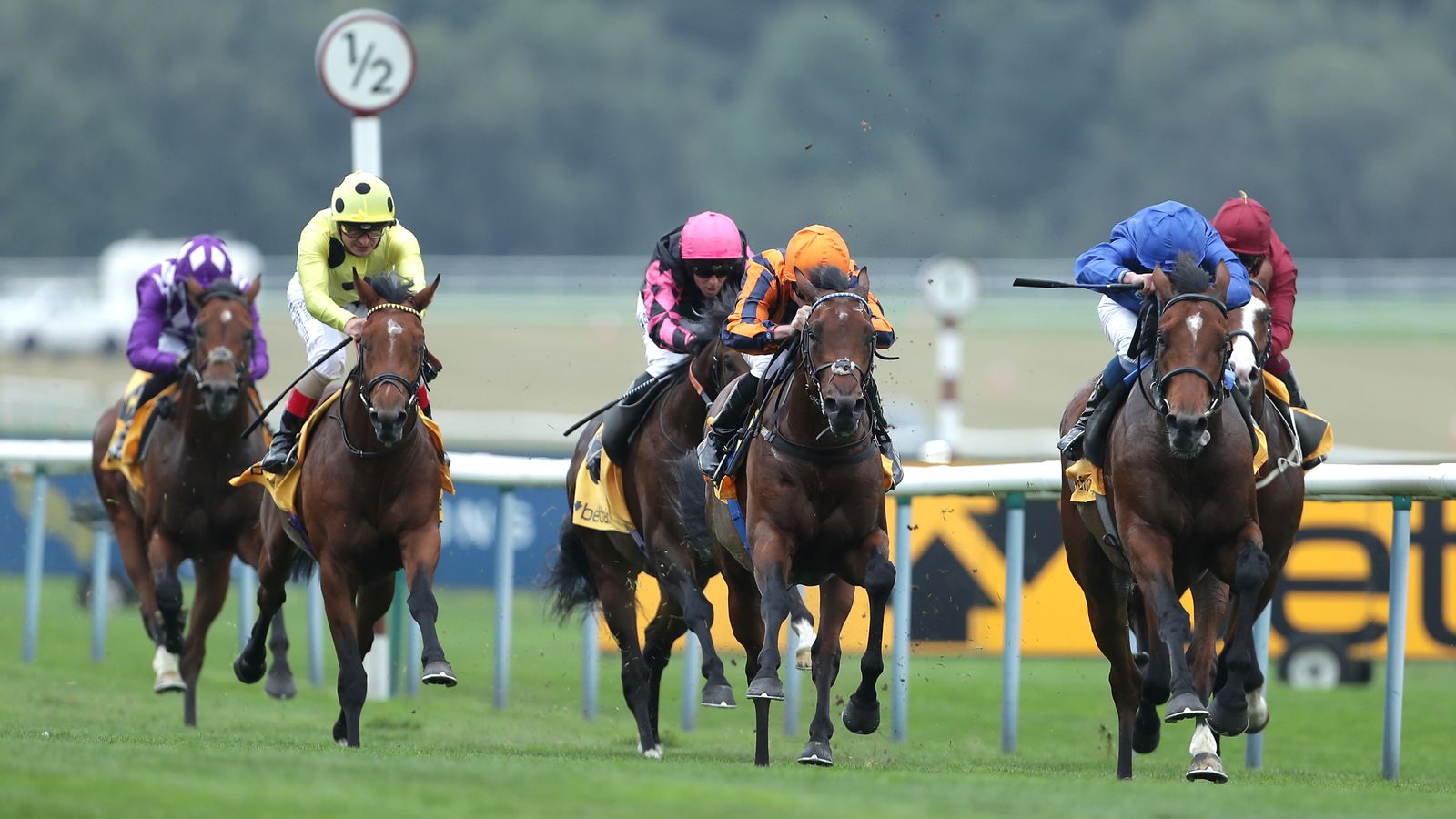 Superior Mile: Triple Time oozes class in Haydock victory for Kevin ...