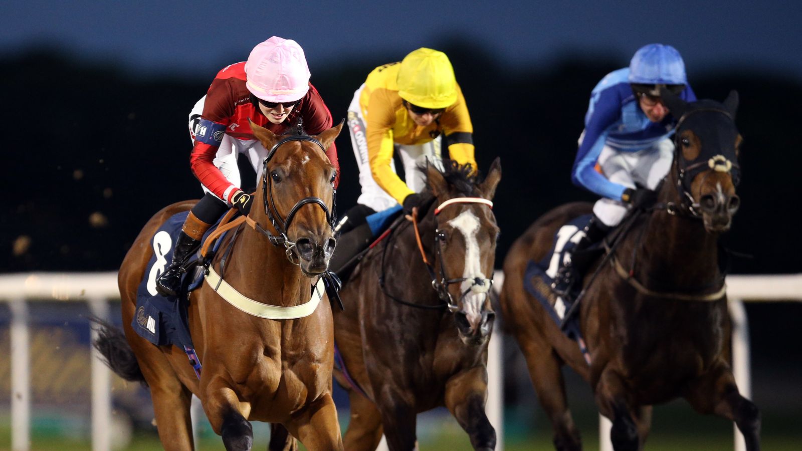 Racing League: Kate Tracey nominates her five to follow for Thursday's ...
