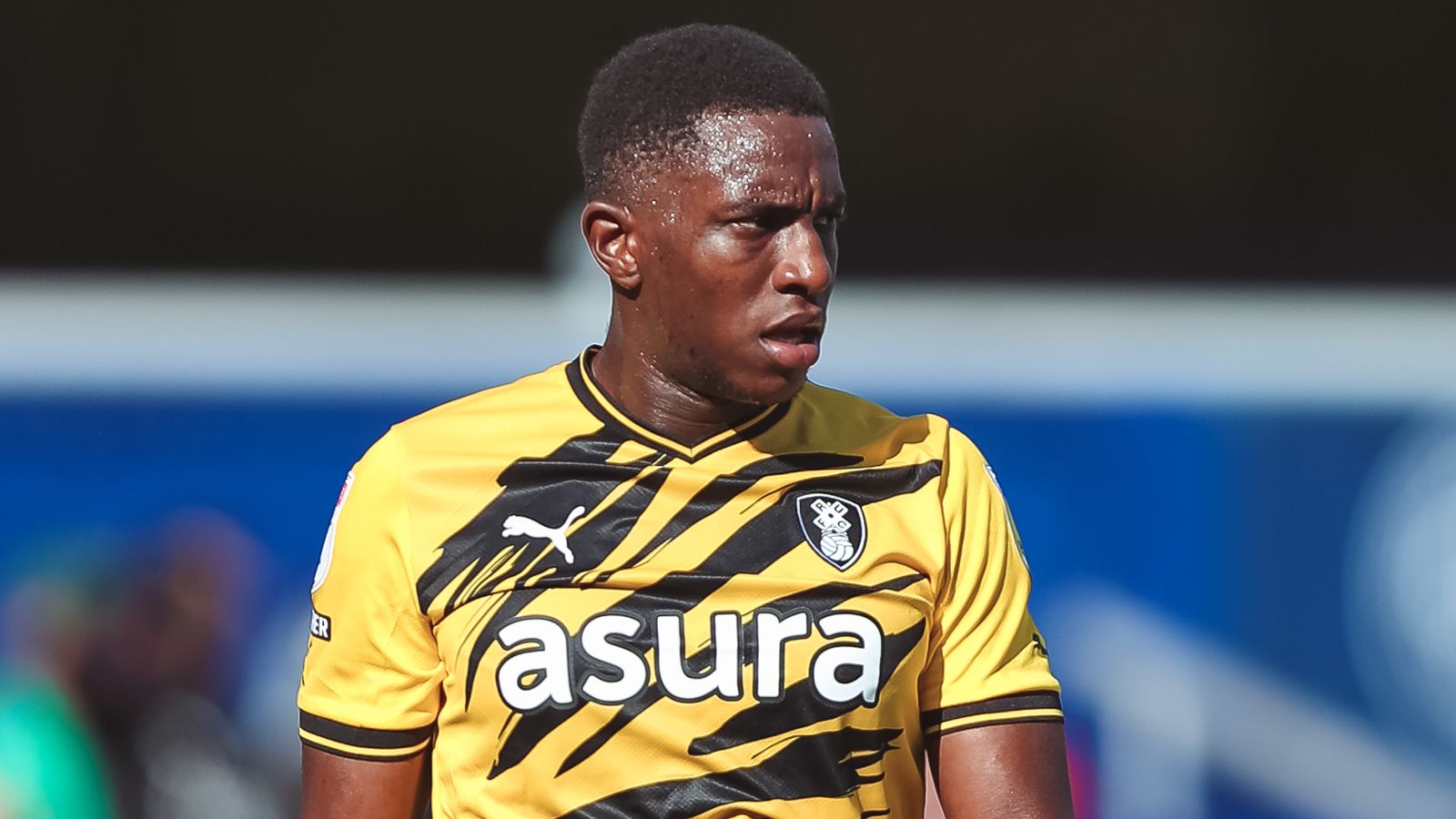 Championship Team of the Month for September: Josh Sargent, Lewis Baker ...