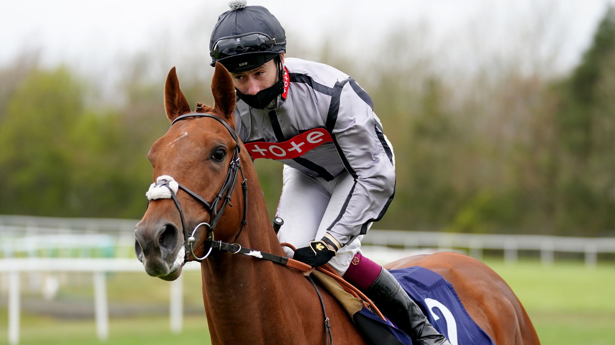 Japan Racing Association Sceptre Stakes: Matt Chapman's runner guide ...