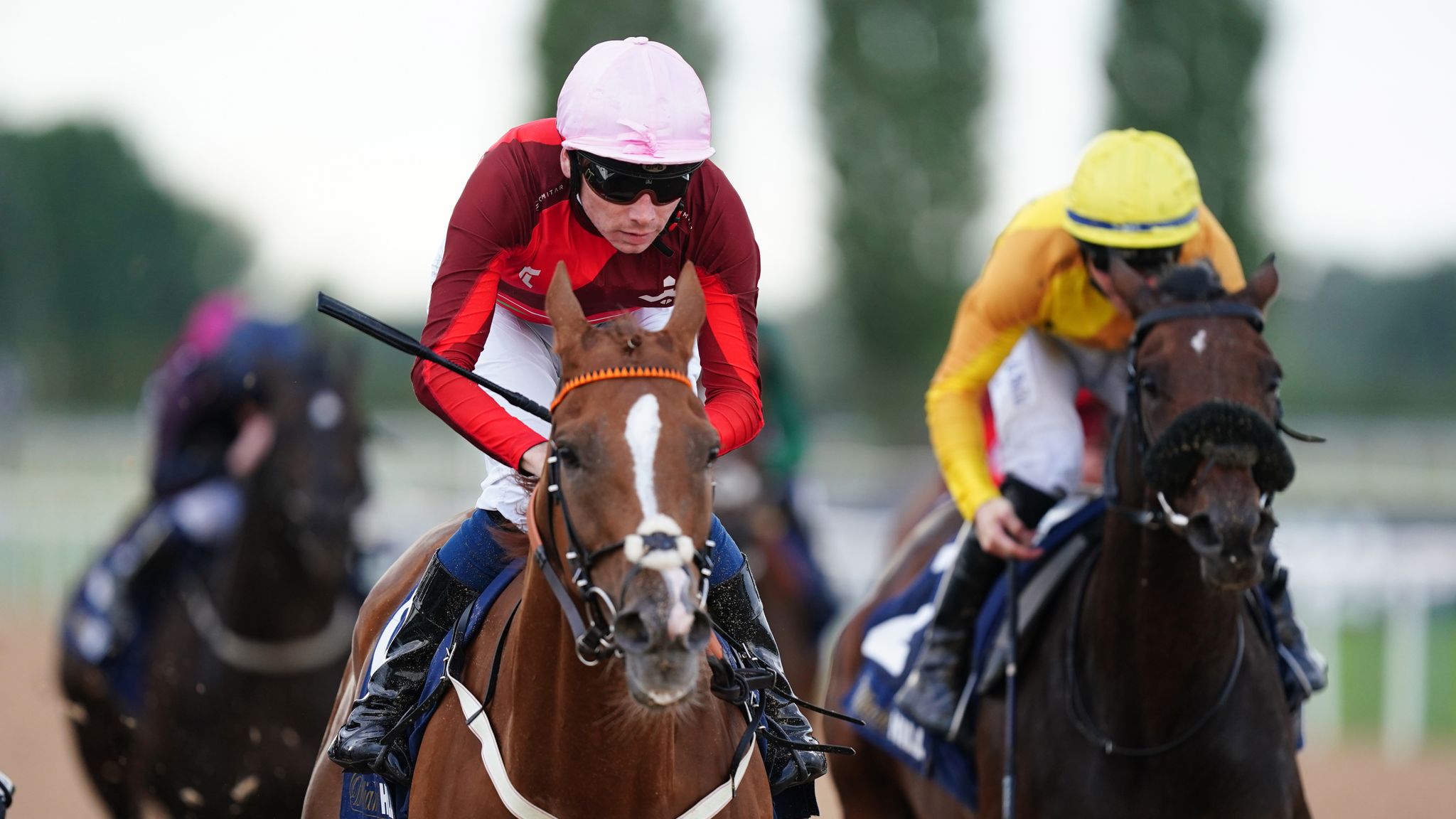 Today on Sky Sports Racing: Worcester, Southwell, Windsor and Newcastle ... Today on Sky Sports Racing: Worcester, Southwell, Windsor and Newcastle ...