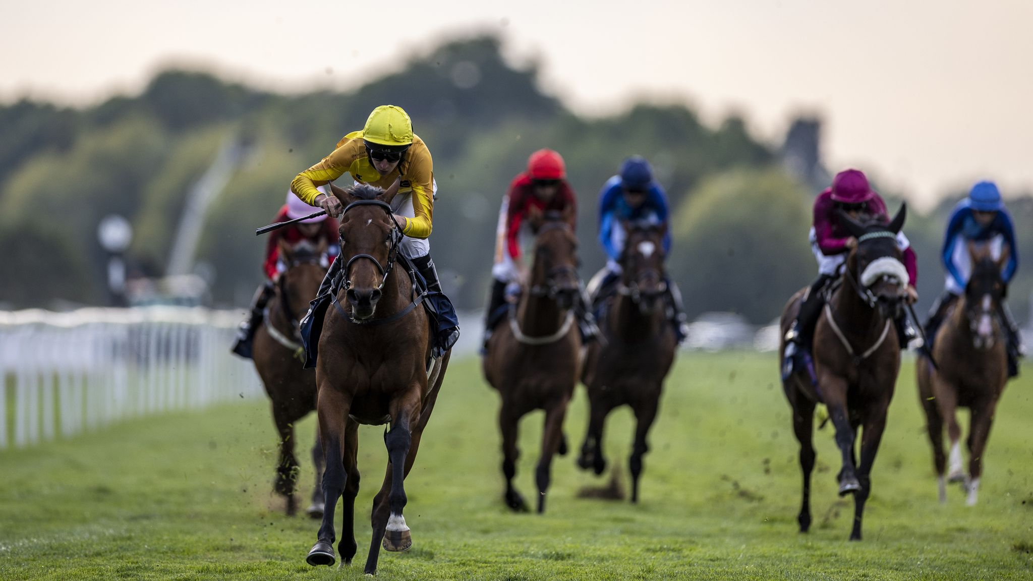 Lincoln Handicap live on Sky Sports Racing: Awaal and Al Mubhir top ...